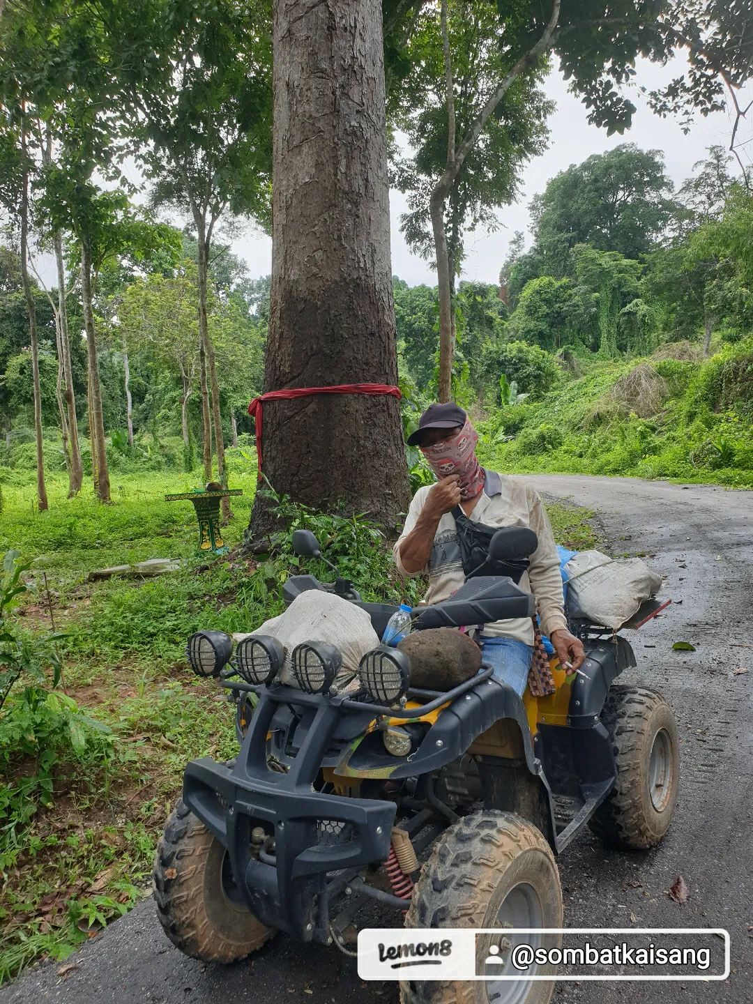เที่ยวป่ากันใหม | แกลเลอรีที่โพสต์โดย Sombat Kaisang | Lemon8