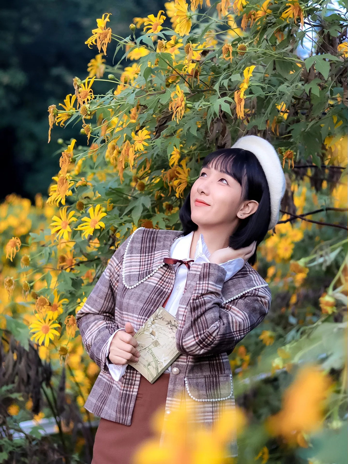 ดอกบัวตอง • เชียงราย • | แกลเลอรีที่โพสต์โดย Pretty Clear 🌷 | Lemon8