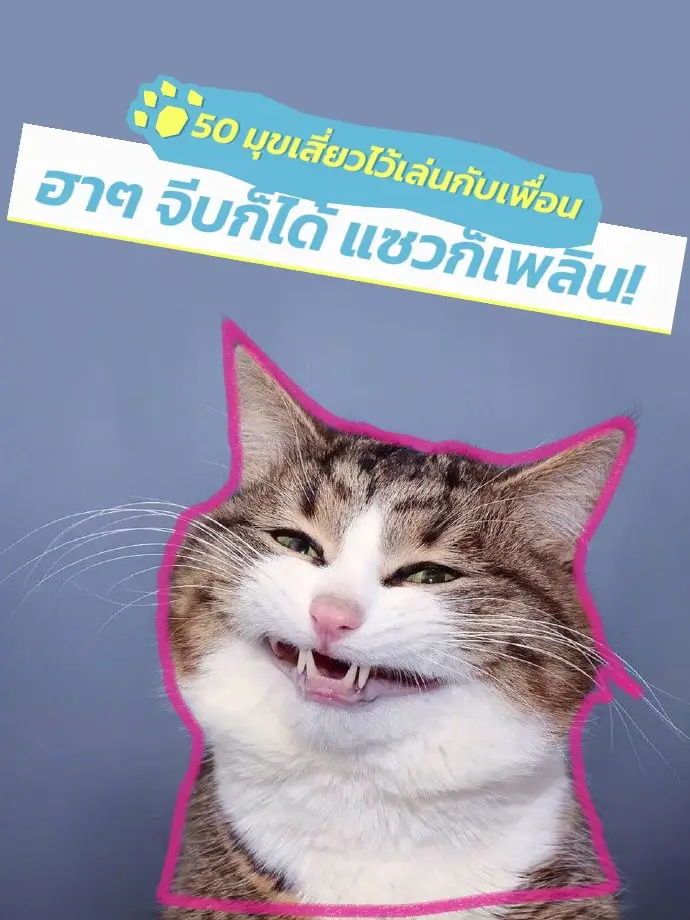 ฮาๆ จีบก็ได้ แซวก็เพลิน! | แกลเลอรีที่โพสต์โดย WTX | Lemon8