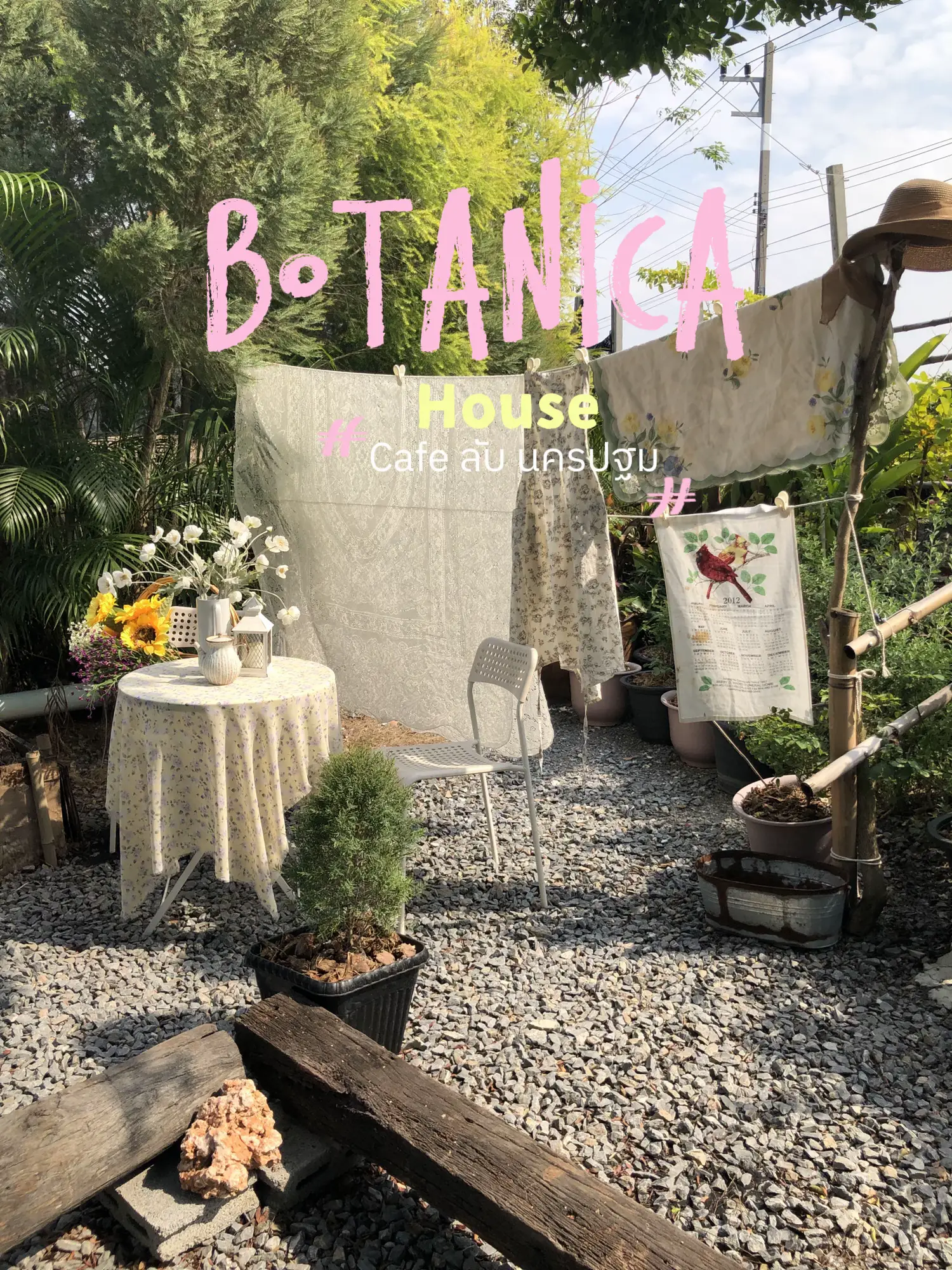 Botanica House ร้านลับนครปฐม | แกลเลอรีที่โพสต์โดย Ayerie | Lemon8