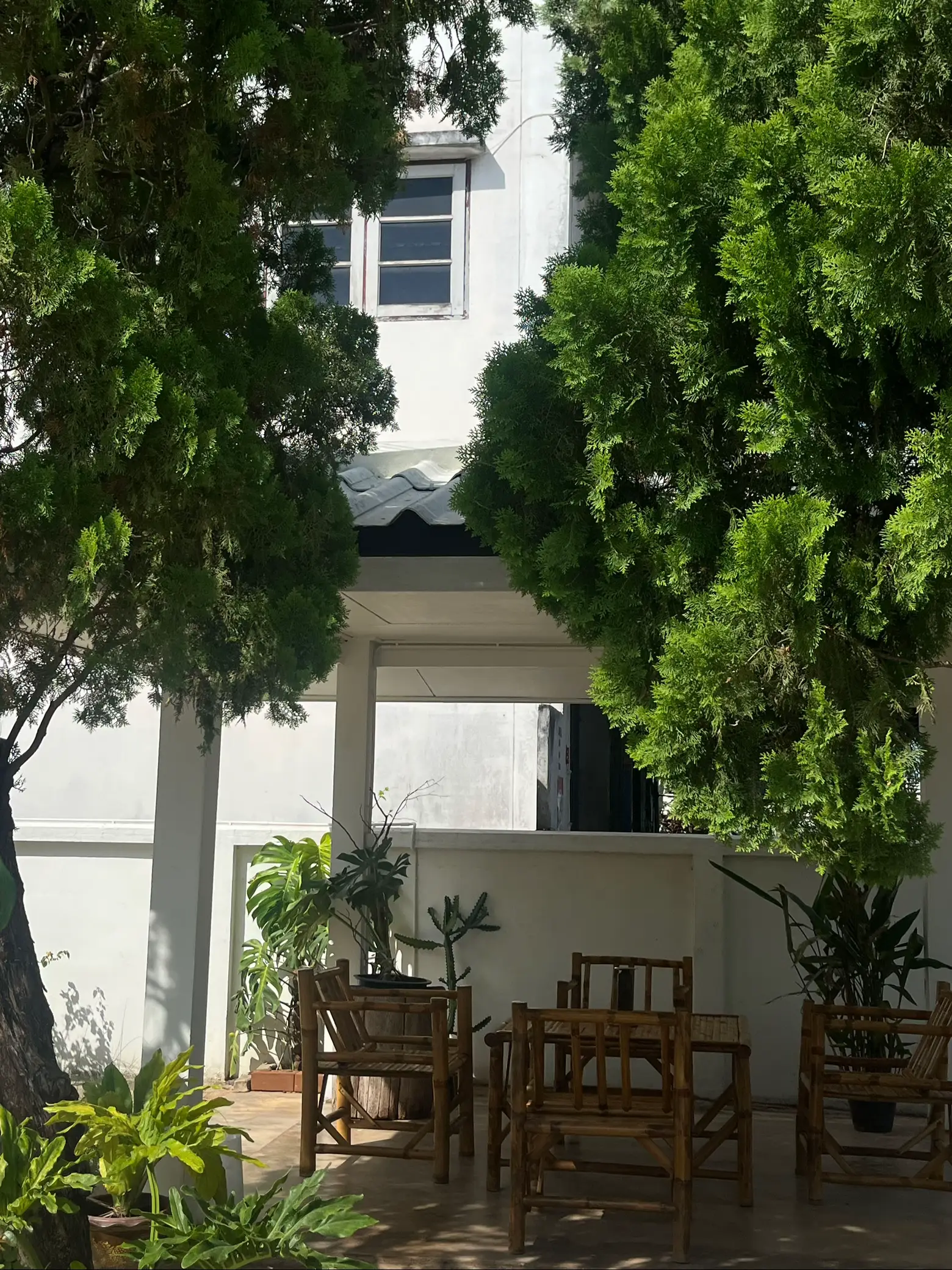 TheSun café คาเฟ่ใจกลางแม่สอด | แกลเลอรีที่โพสต์โดย Fay Chayanee | Lemon8