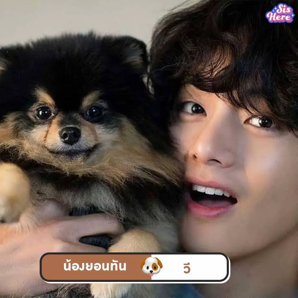 Take a cute look at "the dog of the idols."🐕 | Gallery posted by Sale ...