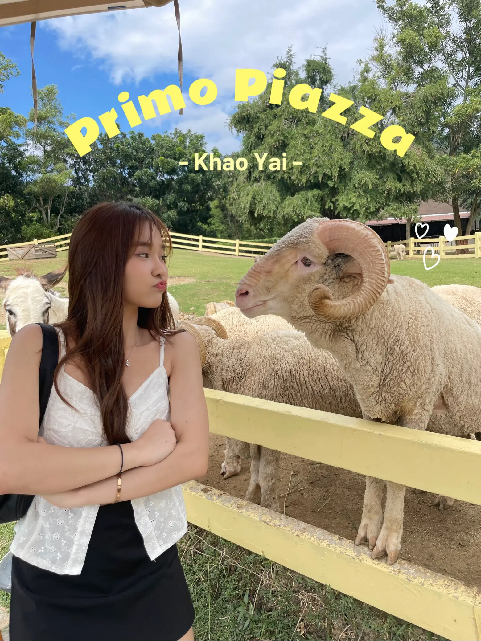 Primo Piazza | แกลเลอรีที่โพสต์โดย Lalida☁️ | Lemon8