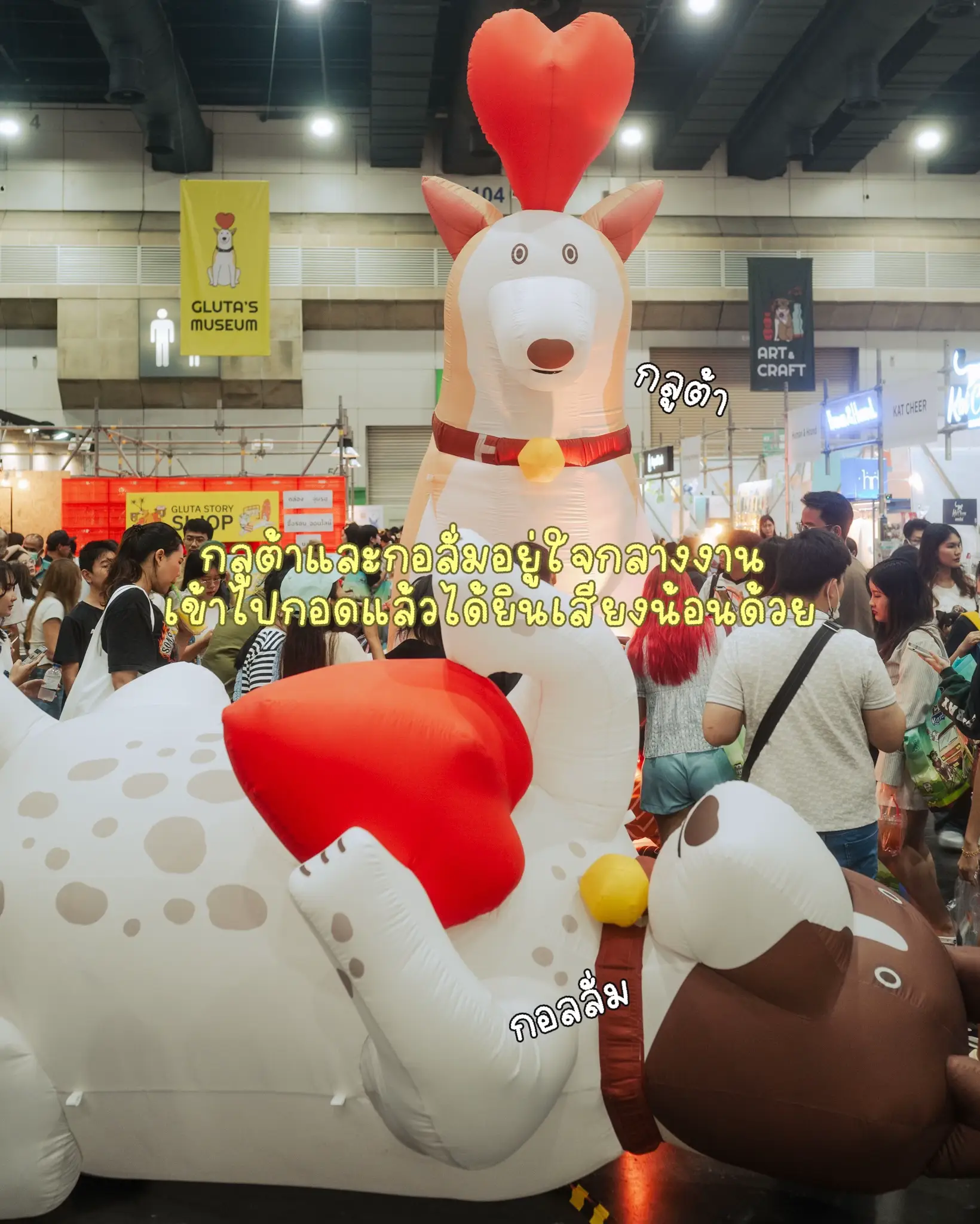รีวิว งานเปิดโกดัง3 Gluta story x Kaniva มาเติมหมากัน 🐶 | แกลเลอรีที่ ...