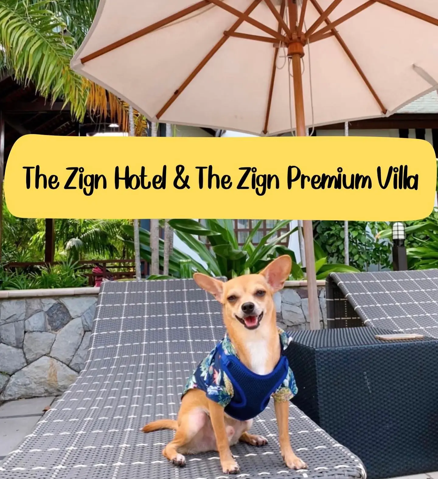 The Zign Hotel & The Zign Premium Villa | แกลเลอรีที่โพสต์โดย หมานำโชค ...