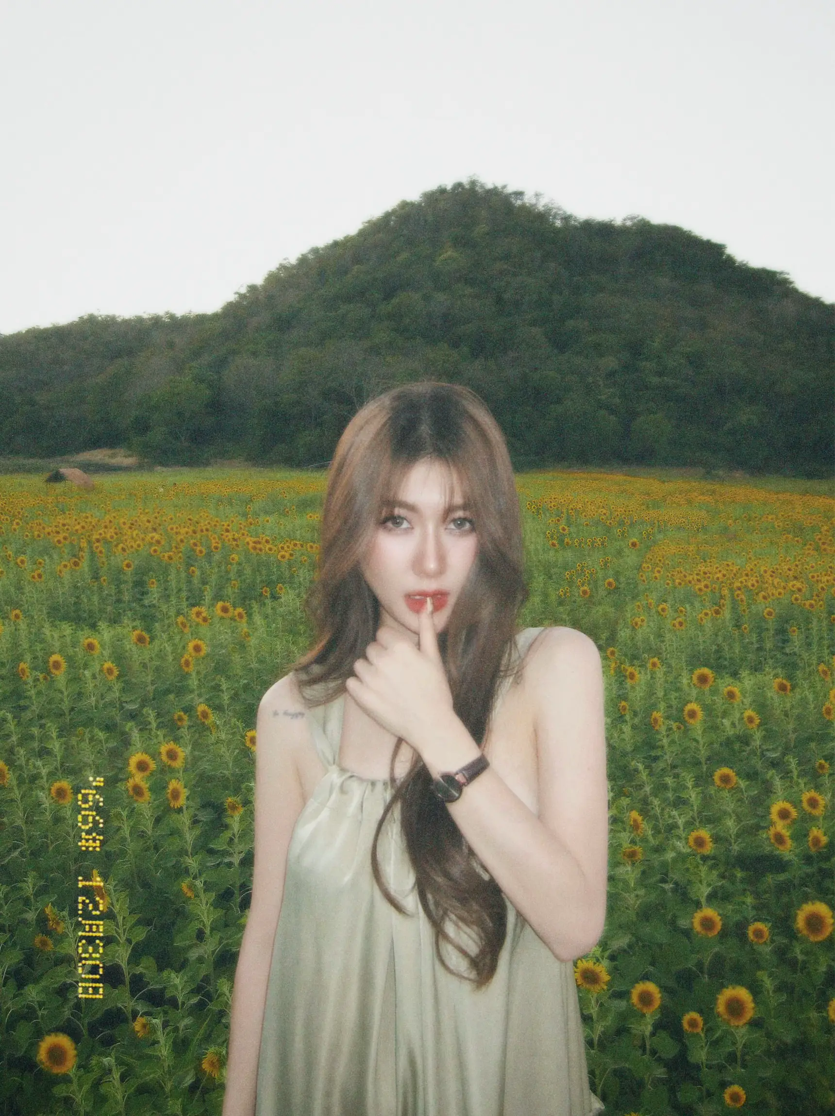 SUNFLOWER 🌻 | แกลเลอรีที่โพสต์โดย J'utha JT | Lemon8