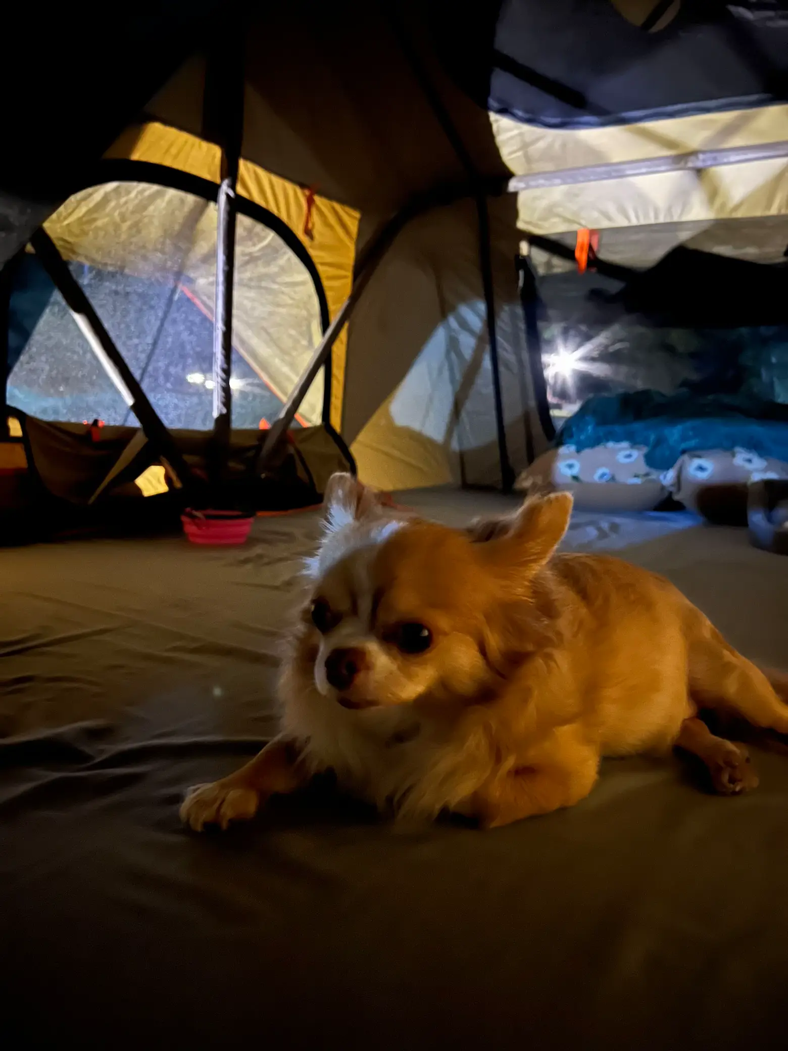 Camping Time | แกลเลอรีที่โพสต์โดย TP Studio Home | Lemon8