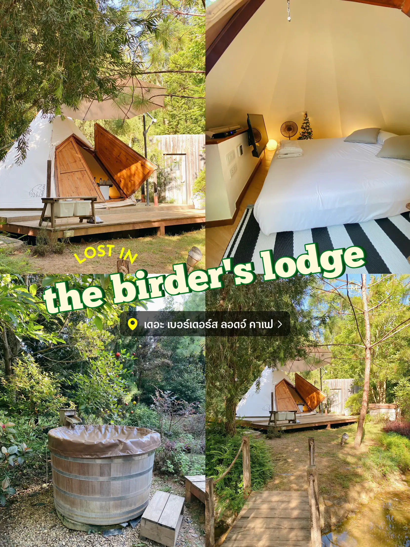 The birder's lodge Khaoyai | แกลเลอรีที่โพสต์โดย NKK_XX98 | Lemon8