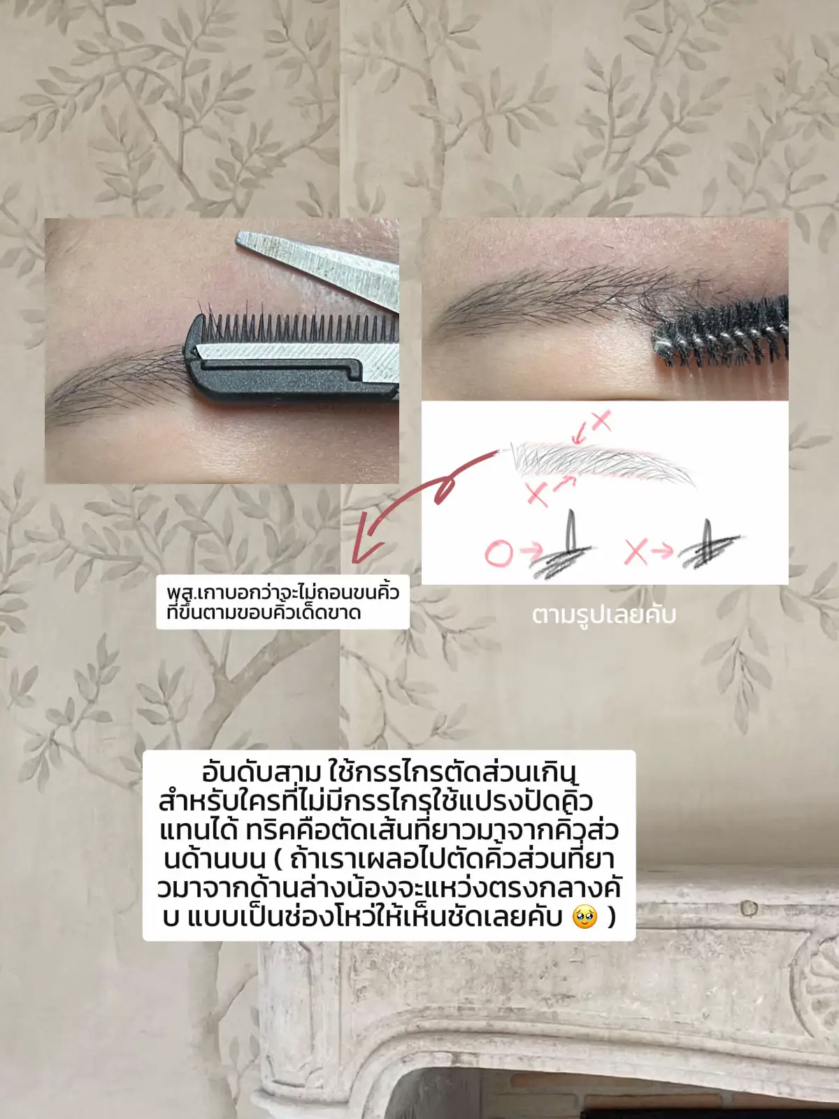 Share trick ตัดแต่งทรงคิ้วให้ฟรุ้ง ( แปลทริคจากพส.เกา 🛌 ) | แกลเลอรีที่โพสต์โดย Darin ౨ৎ | Lemon8