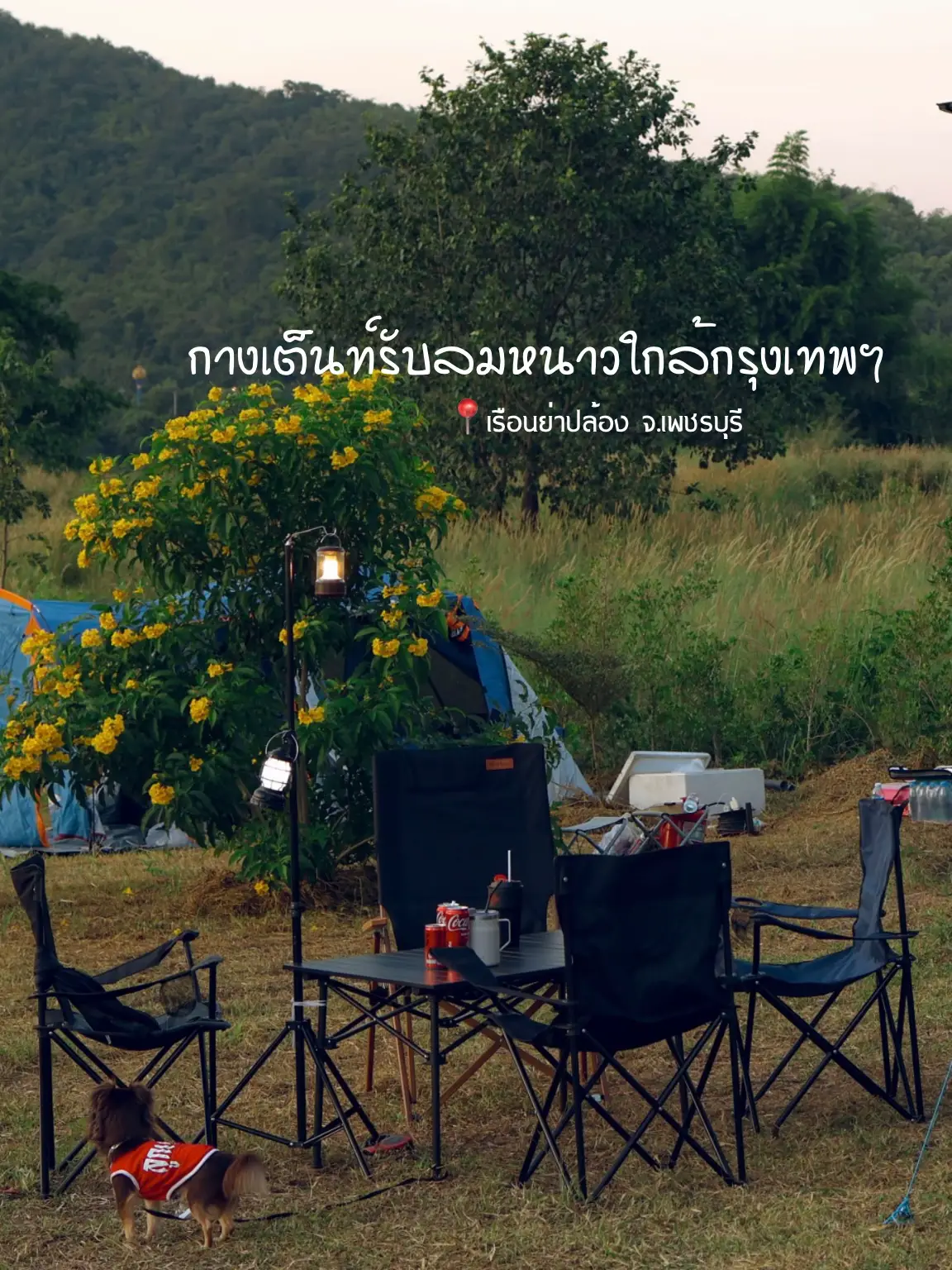 กางเต็นท์รับลมหนาวใกล้กรุงเทพฯ 19 องศา 🏕️ | วิดีโอที่เผยแพร่โดย N. Ch | Lemon8