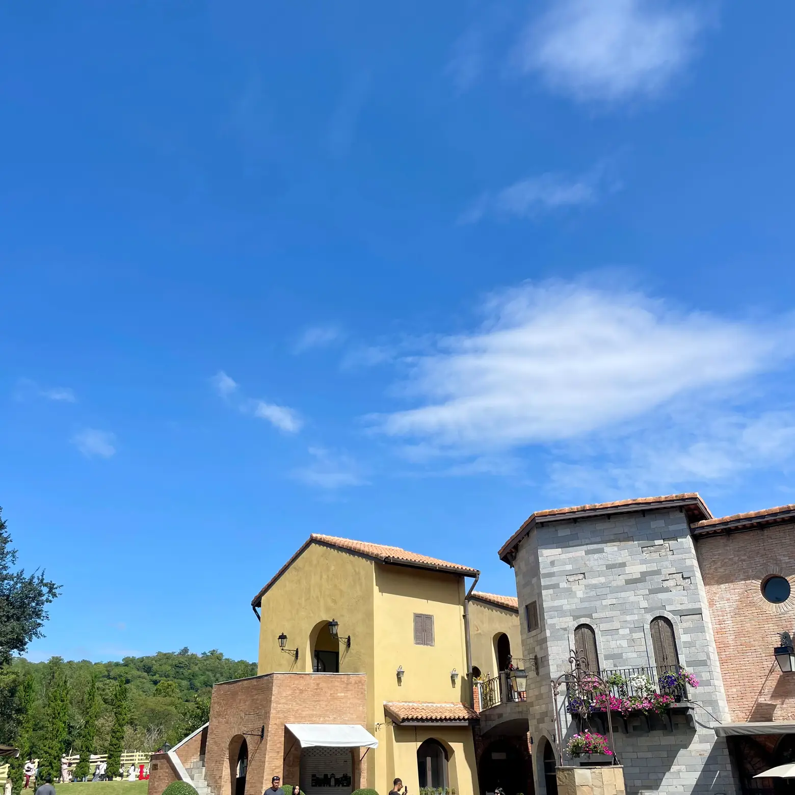 Primo Piazza | แกลเลอรีที่โพสต์โดย Lalida☁️ | Lemon8