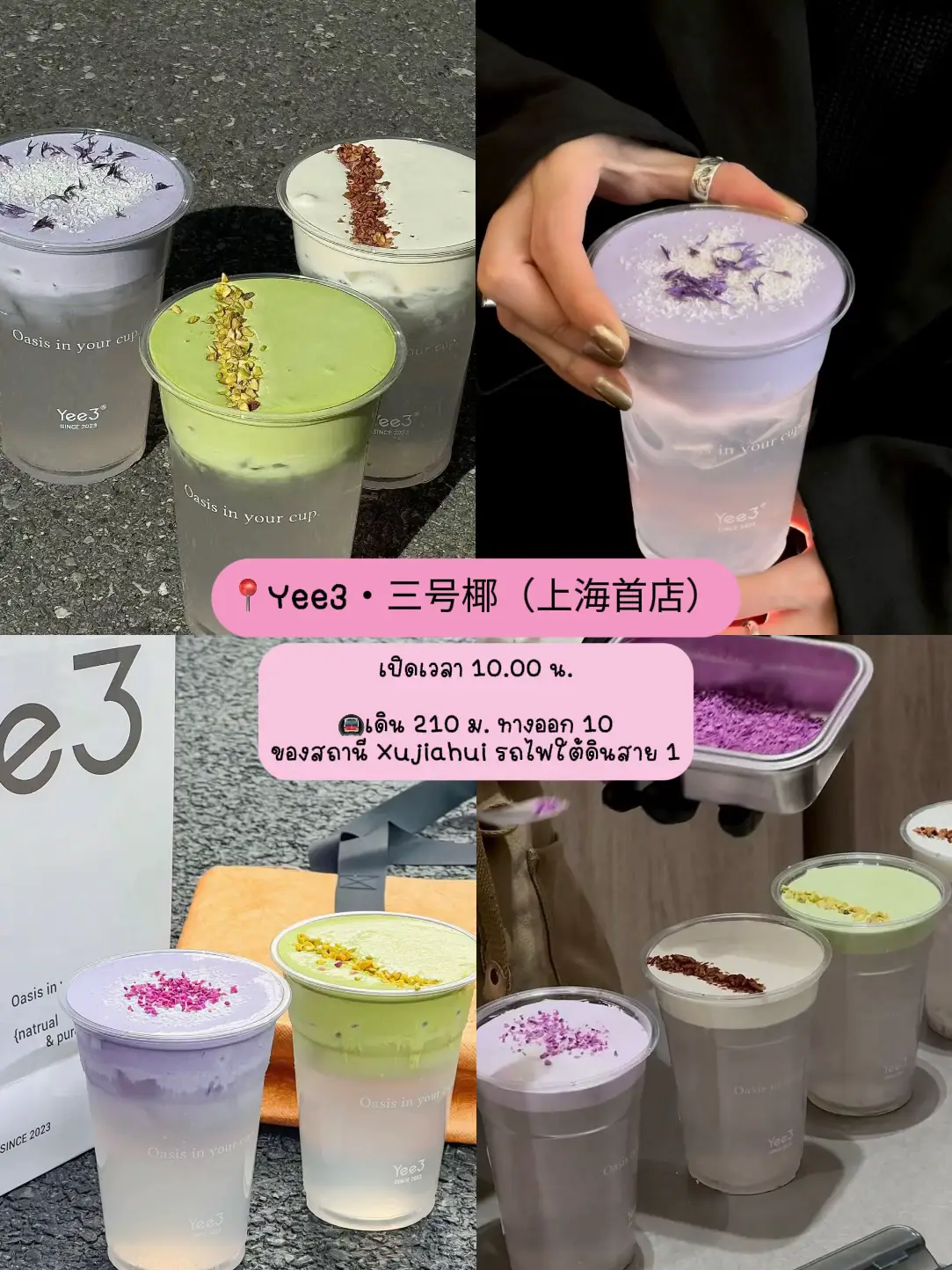 🇨🇳| Coordinates 5 Cute cafe in Shanghai that Thai people haven't come ...