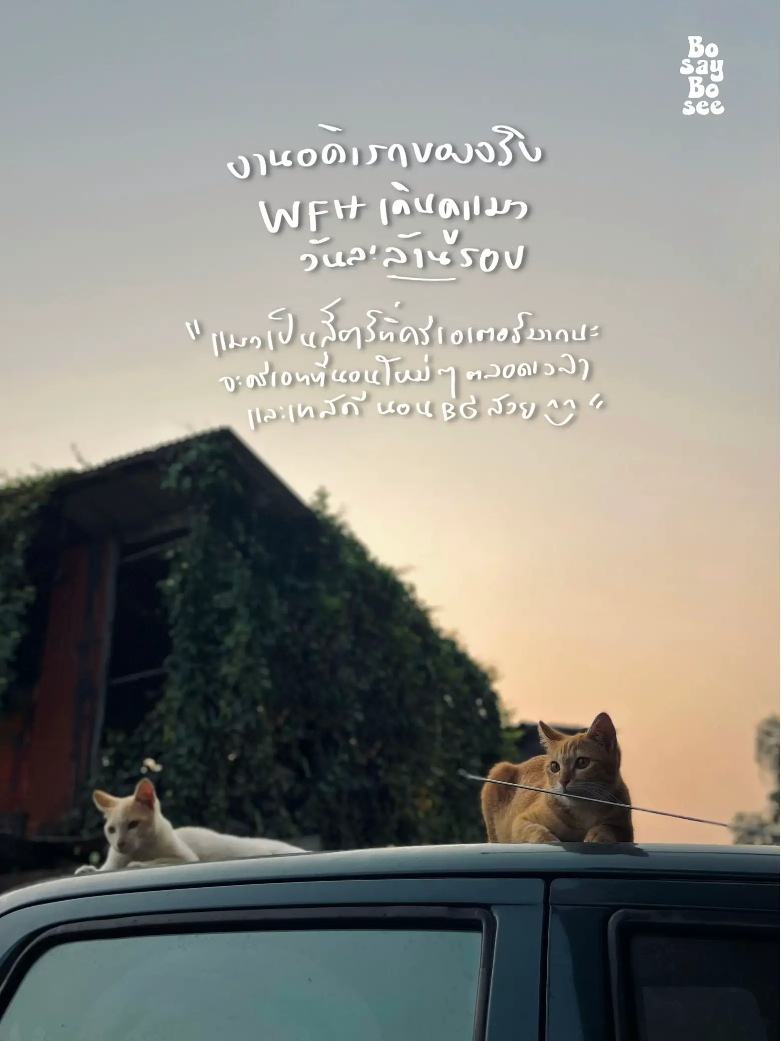 ฉันมีบ้านนอกเป็นของตัวเอง ” และชีวิตอันแสน Slow Life | แกลเลอรีที่โพสต์ ...