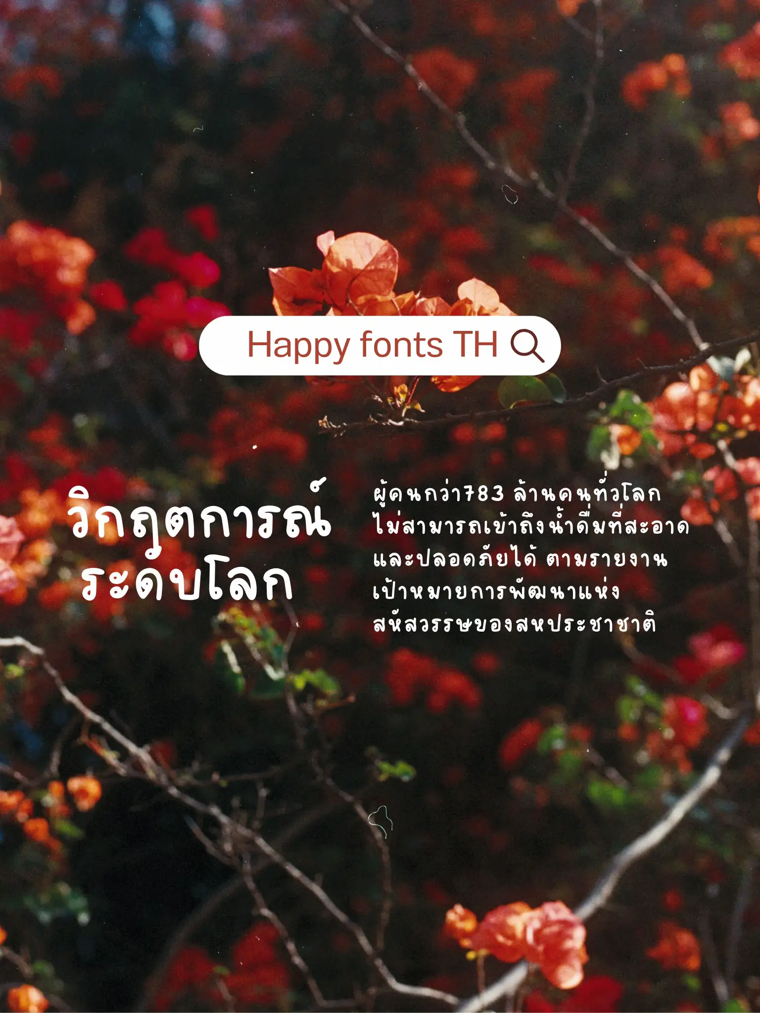 แจกพิกัด fonts canva ไทยใช้ฟรี 👏🏻 | แกลเลอรีที่โพสต์โดย นผ | Lemon8
