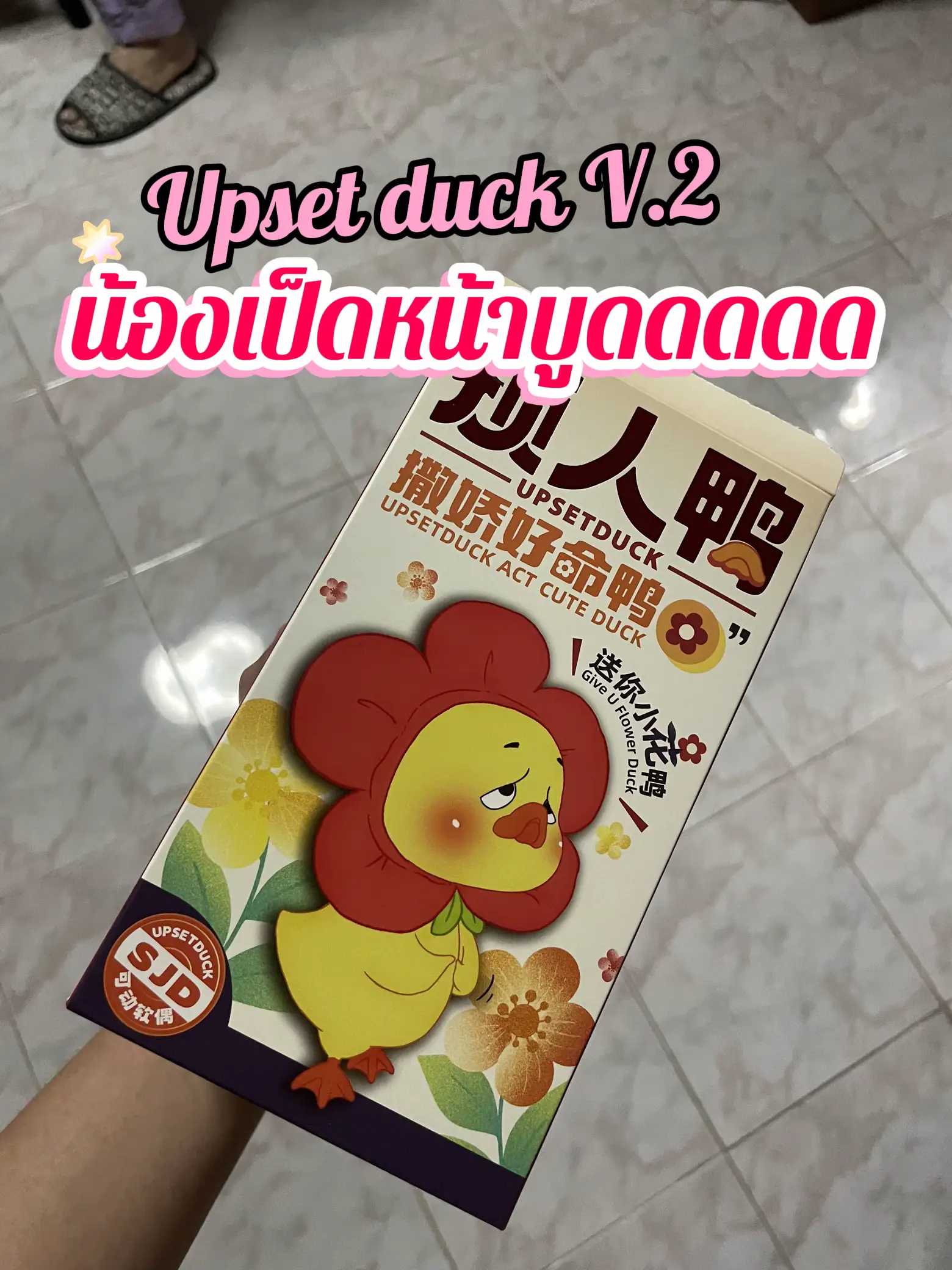 Upset duck V.2 น่ารักทุกตัว! | แกลเลอรีที่โพสต์โดย Ploy.nalyn | Lemon8