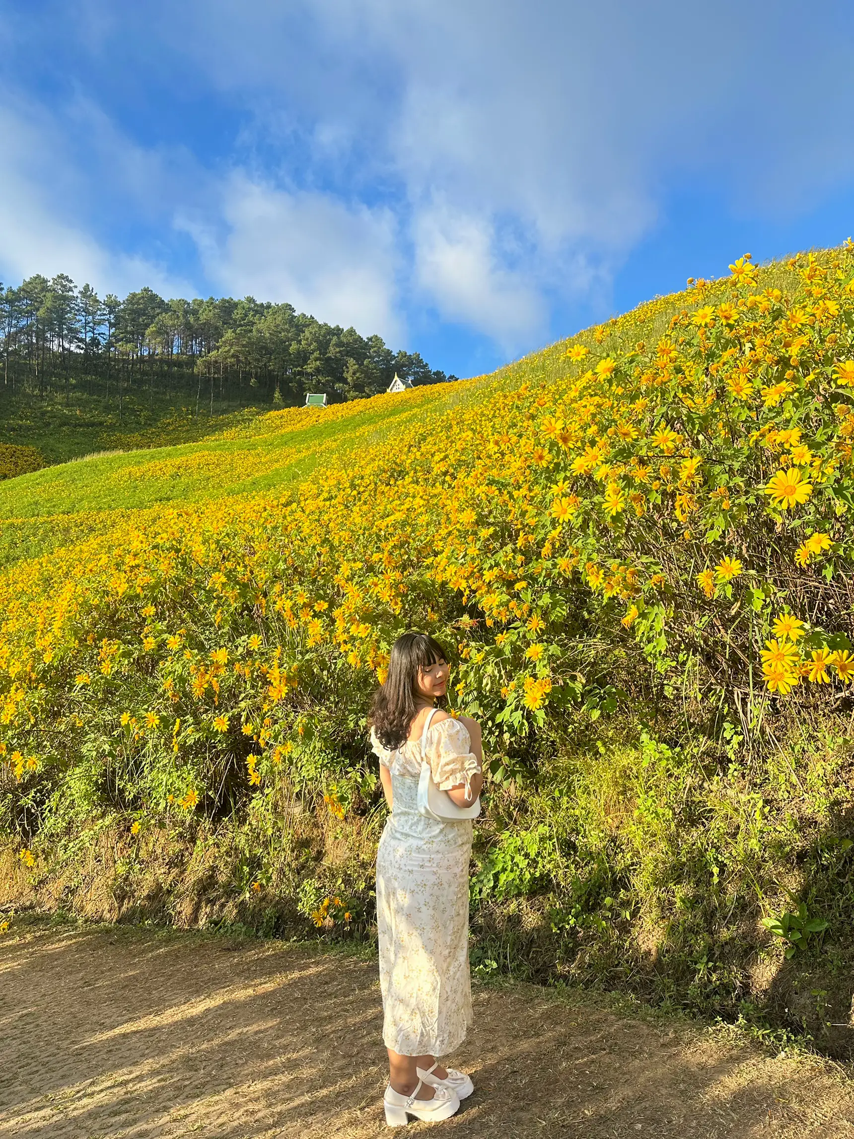 ทุ่งบัวตองดอยแม่อูคอ | แกลเลอรีที่โพสต์โดย CH OM | Lemon8