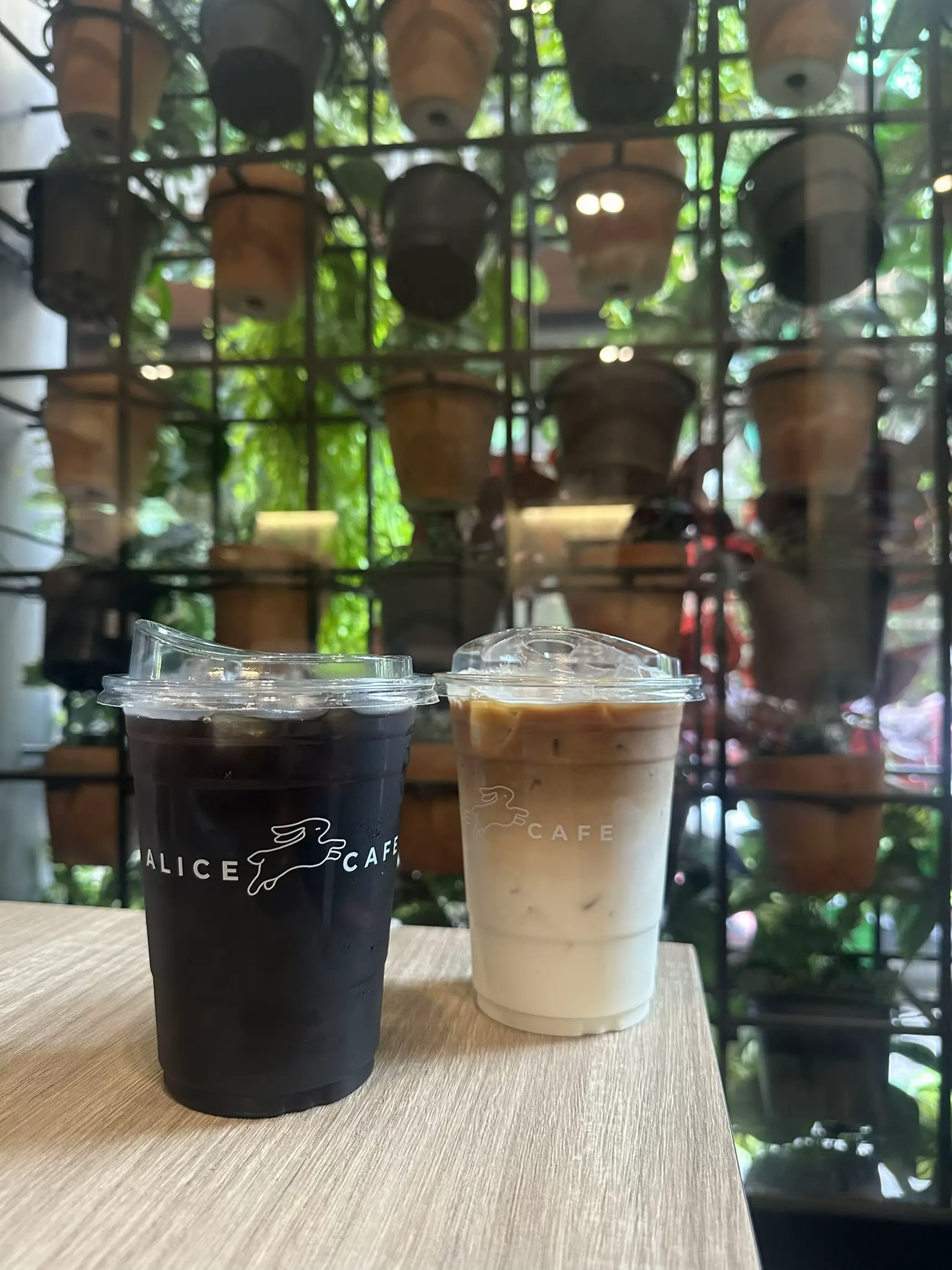 โรลสังขยา มะพร้าวอ่อน | Alice cafe | แกลเลอรีที่โพสต์โดย ฝนนี่ รีวิว ...