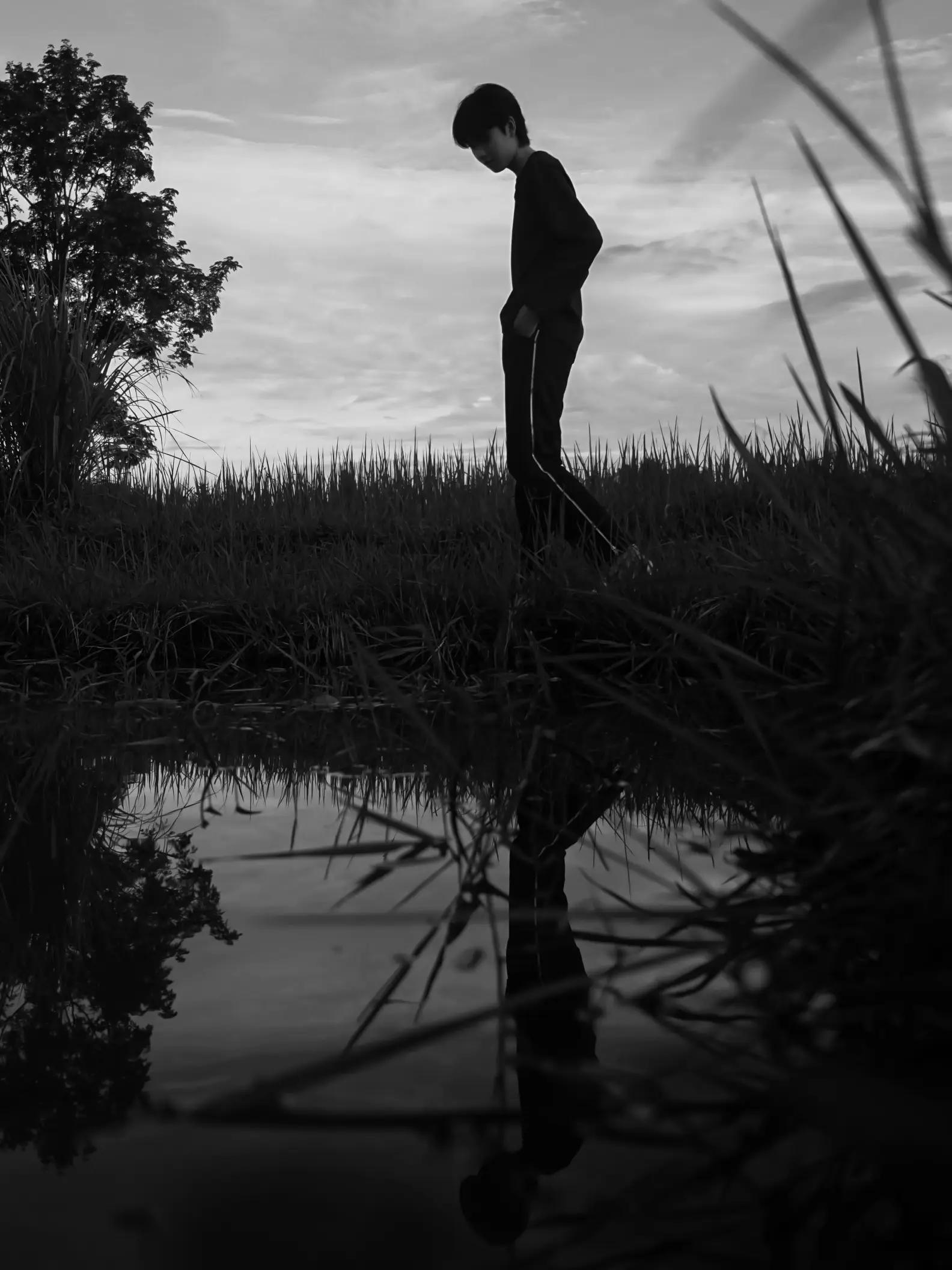 🌾ชวนน้องถ่ายรูปกับทุ่งนาหน้าฝน🌧️ | แกลเลอรีที่โพสต์โดย Usagi🐇 | Lemon8