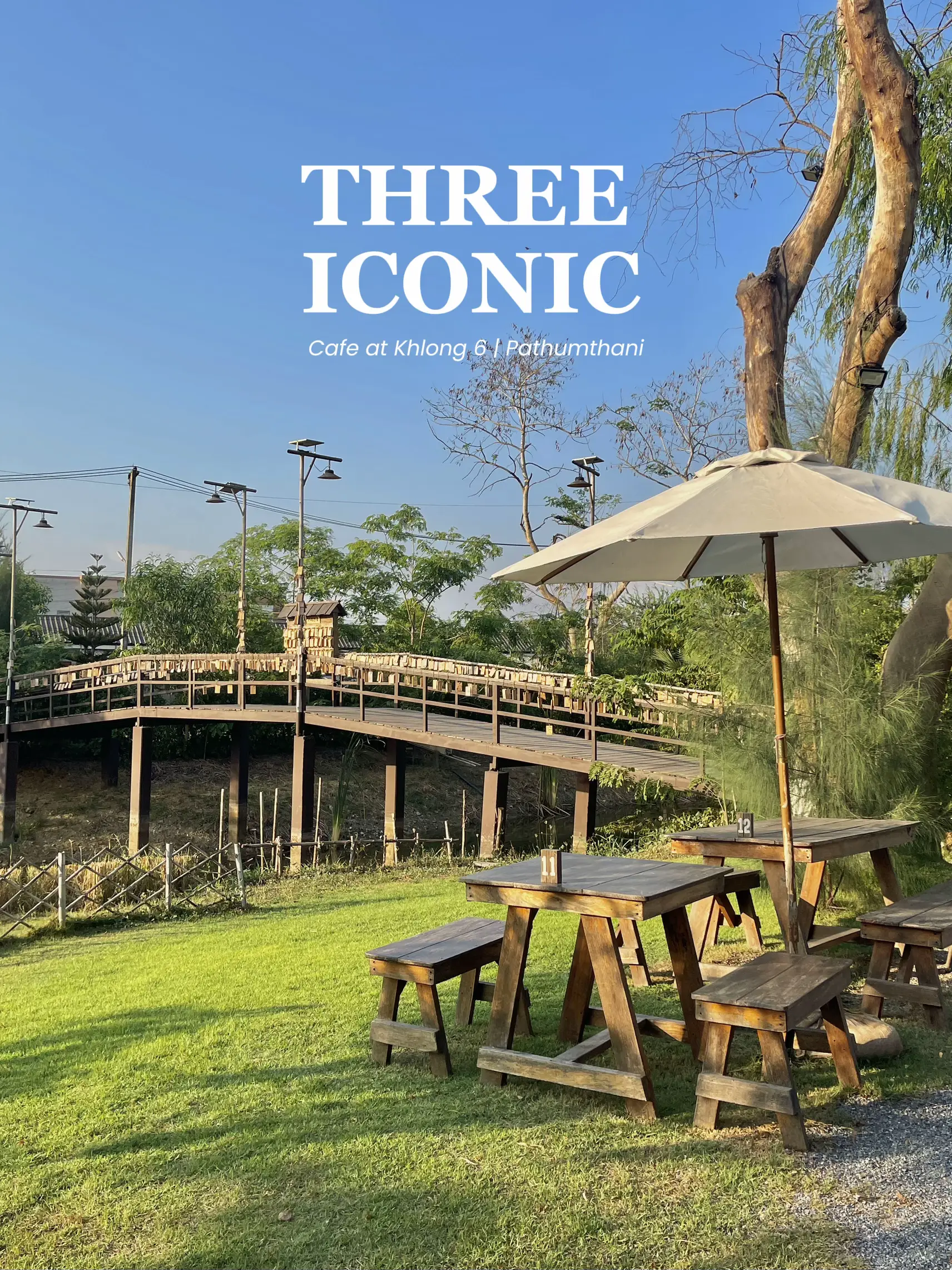 THREE ICONIC คาเฟ่สไตล์ญี่ปุ่นย่านคลองหก ปทุมธานี 🎋⛩️🪨 🍝 | แกลเลอรีที่โพสต์โดย Ja’fe painai 🍵 ...