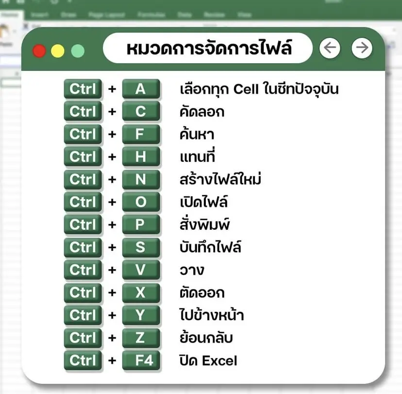 แจก คีย์ลัดExcel ที่ชาวออฟฟิศต้องรู้ 💻 | แกลเลอรีที่โพสต์โดย Proxumer | Lemon8
