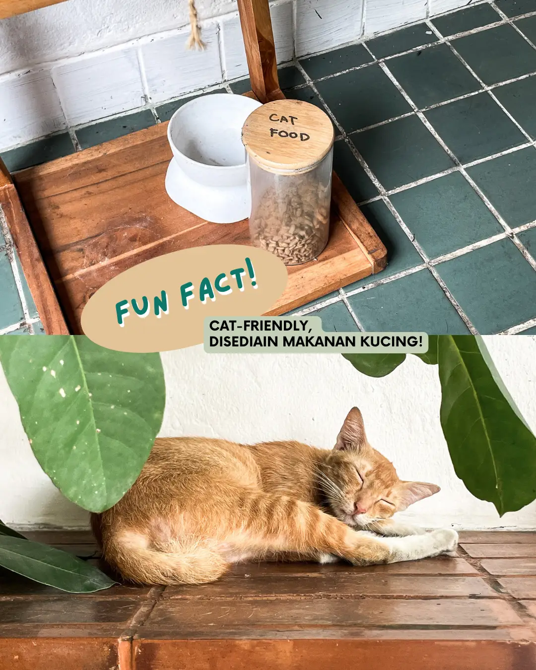 CARI PLANT BASED COFFEE? CEK TEMPAT INI! 😍 | แกลเลอรีที่โพสต์โดย Kintan ...