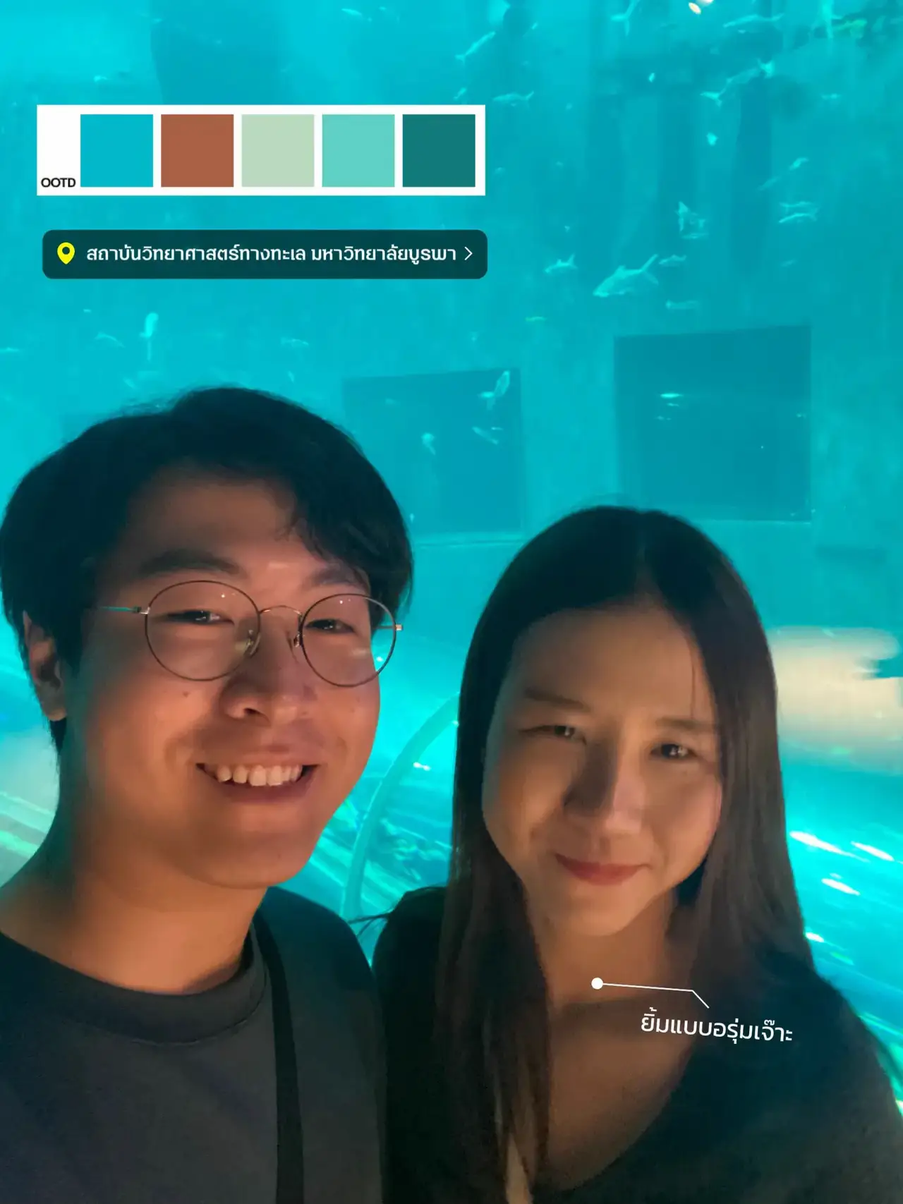 Tinder Gold กับ Platinum ต่างกันยังไง Pantip - การค้นหาใน Lemon8