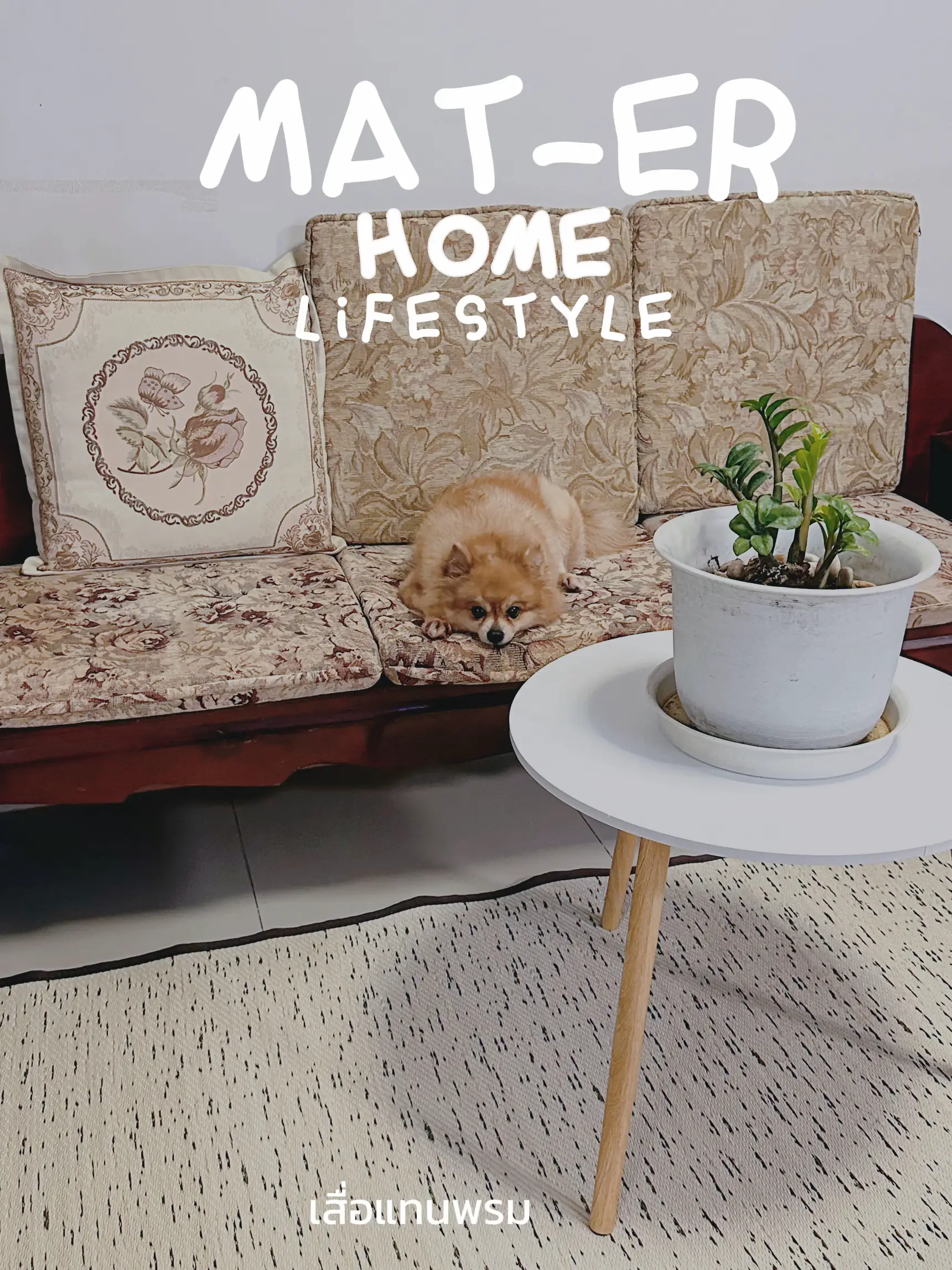 เสื่อแทนพรม Mat-er พรมไร้ฝุ่น | แกลเลอรีที่โพสต์โดย 🦋imainglich | Lemon8