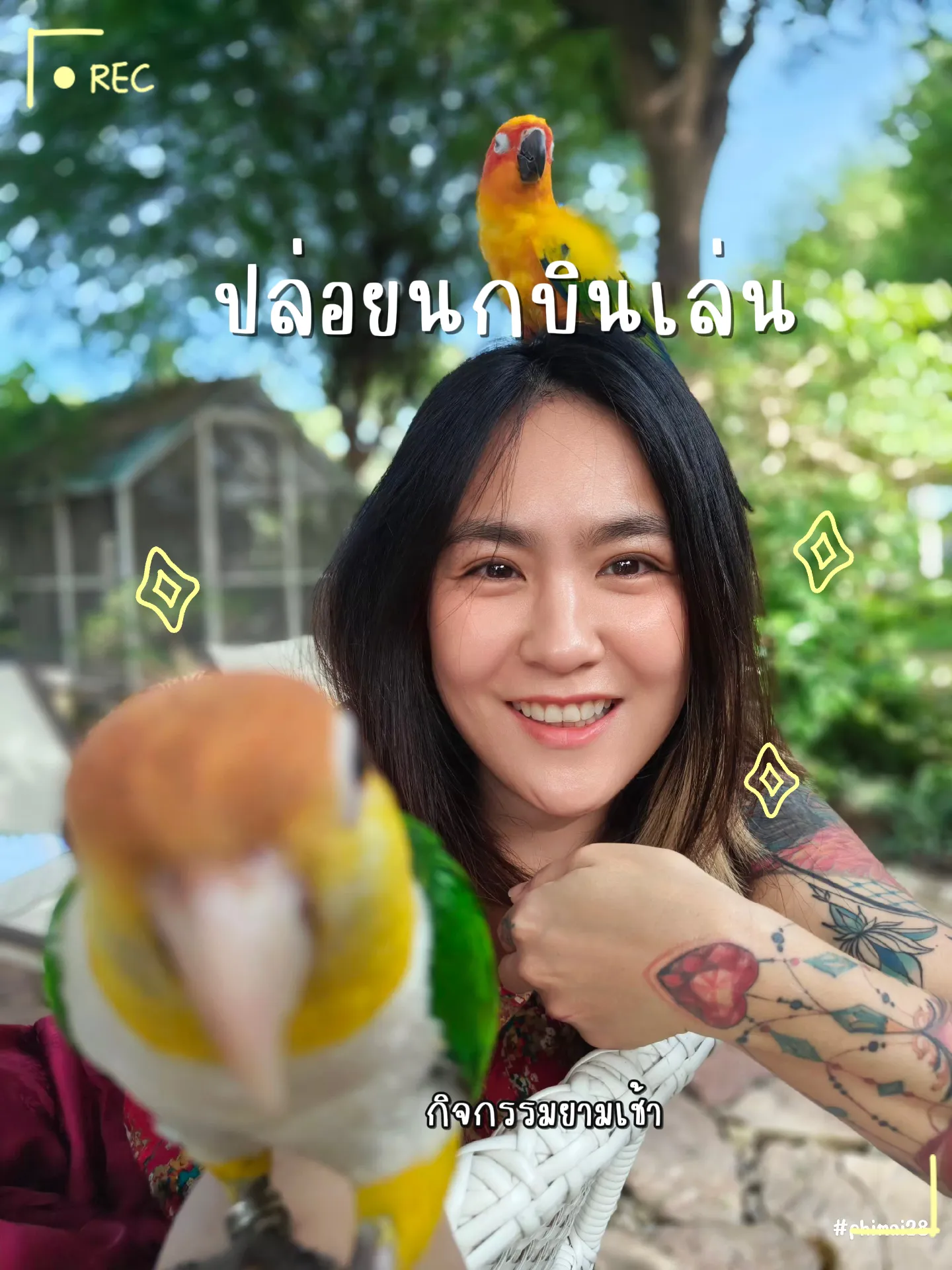 ปล่อยนกบินเล่น | แกลเลอรีที่โพสต์โดย Yuu ka-Top | Lemon8