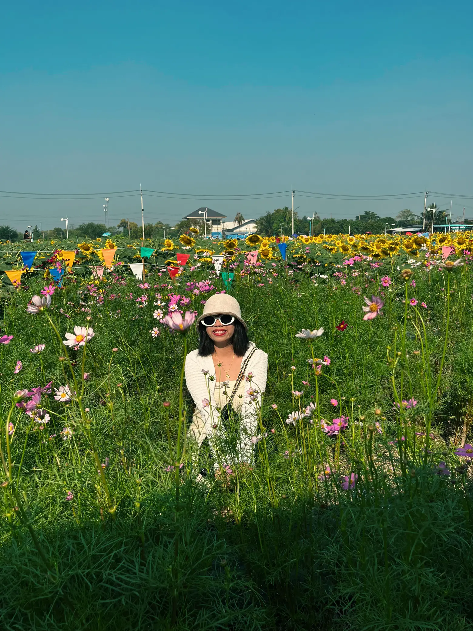 ขอให้เธอสดใสเหมือนทานตะวันที่บานสะพรั่ง 🌻 | แกลเลอรีที่โพสต์โดย Wee Weerawan | Lemon8