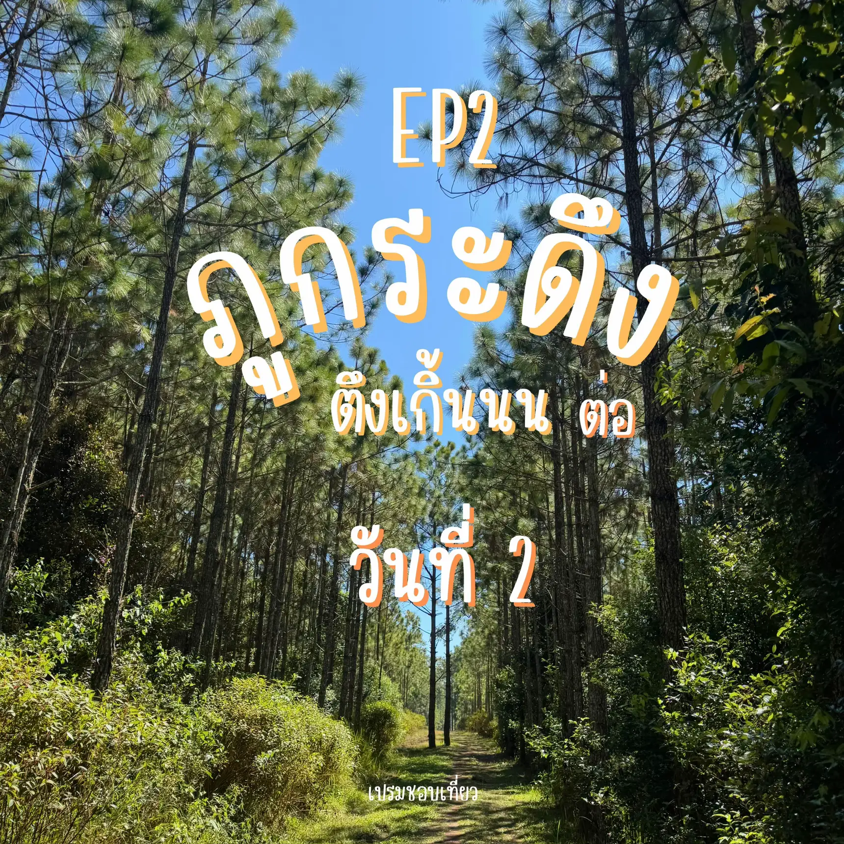 ต่อ EP2 พิชิตภูกระดึง 🏔️🍁 | แกลเลอรีที่โพสต์โดย เปรมชอบเที่ยว | Lemon8