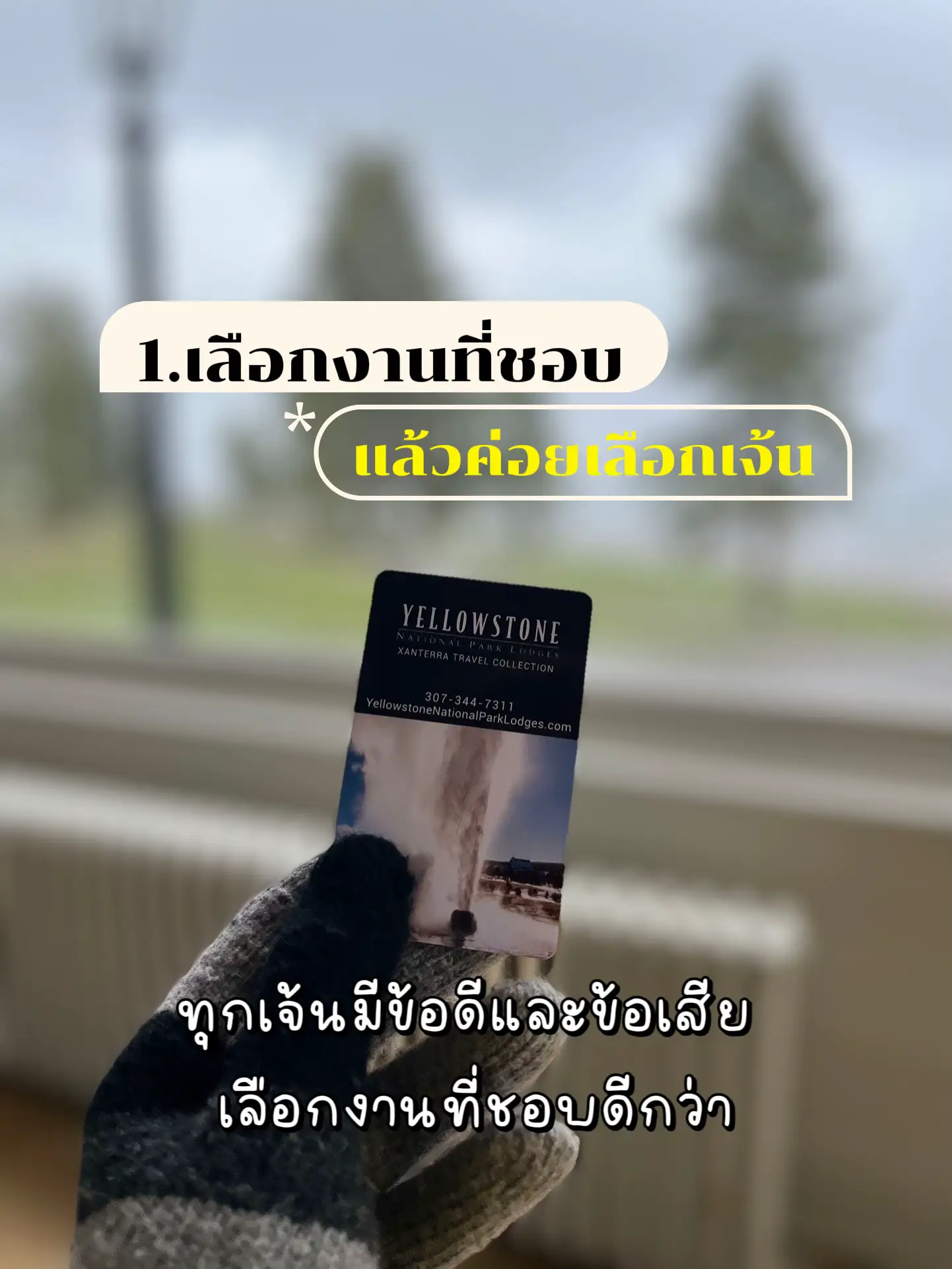 5 สิ่งควรรู้ก่อนไปเวิค 🧸 | แกลเลอรีที่โพสต์โดย bbibo.p | Lemon8