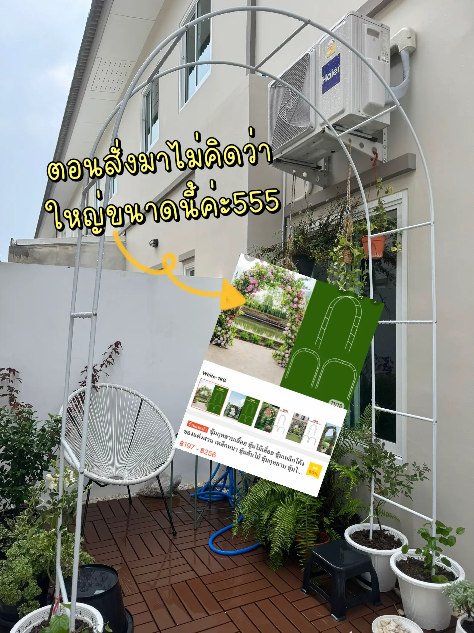 ปลูกต้นไม้ทำซุ้มไม้เลื้อยบ้านทาวโฮม 🌸 แกลเลอรีที่โพสต์โดย Mekyo Home Lemon8
