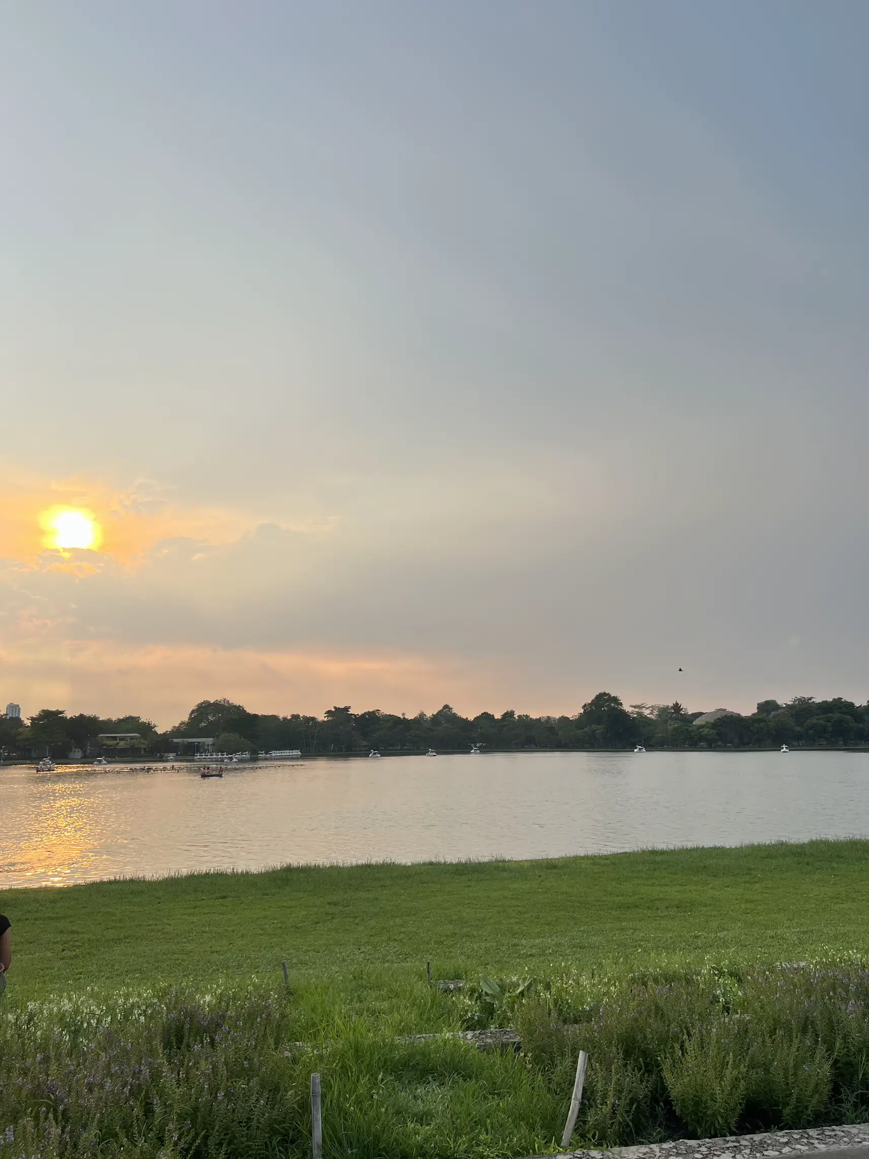 สวนหลวง ร.9 🪿🌻 | แกลเลอรีที่โพสต์โดย yy𐙚 | Lemon8