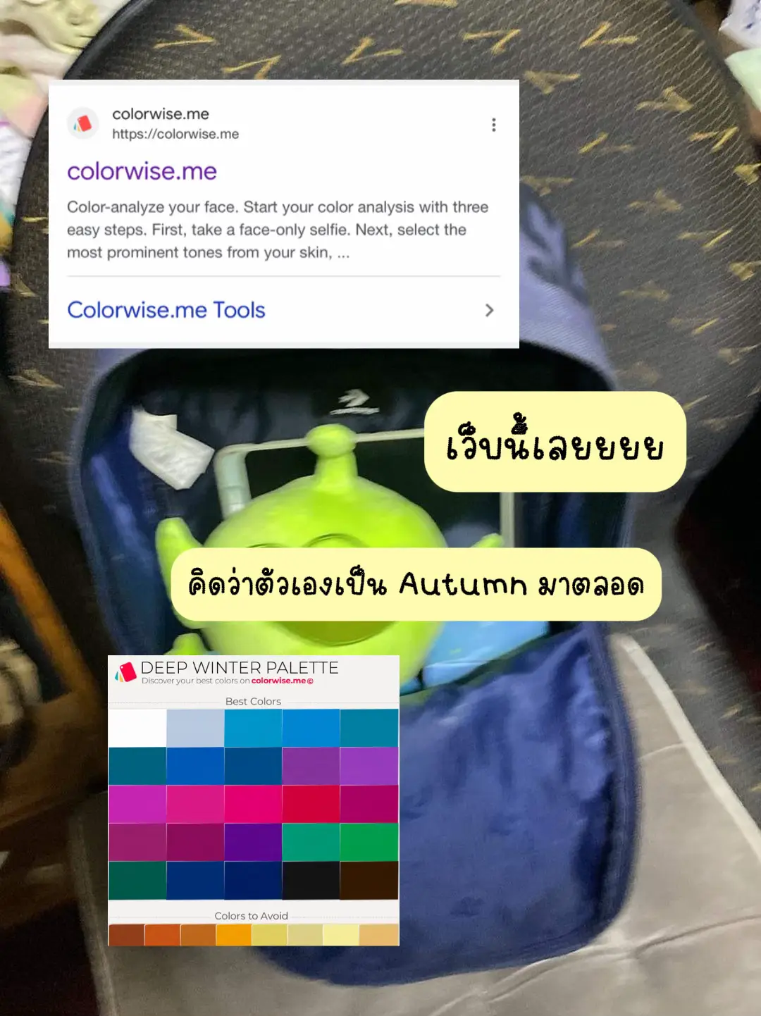 20 ไอเดียยอดนิยมเกี่ยวกับ Deep Winter Personal Color ในปี 2024