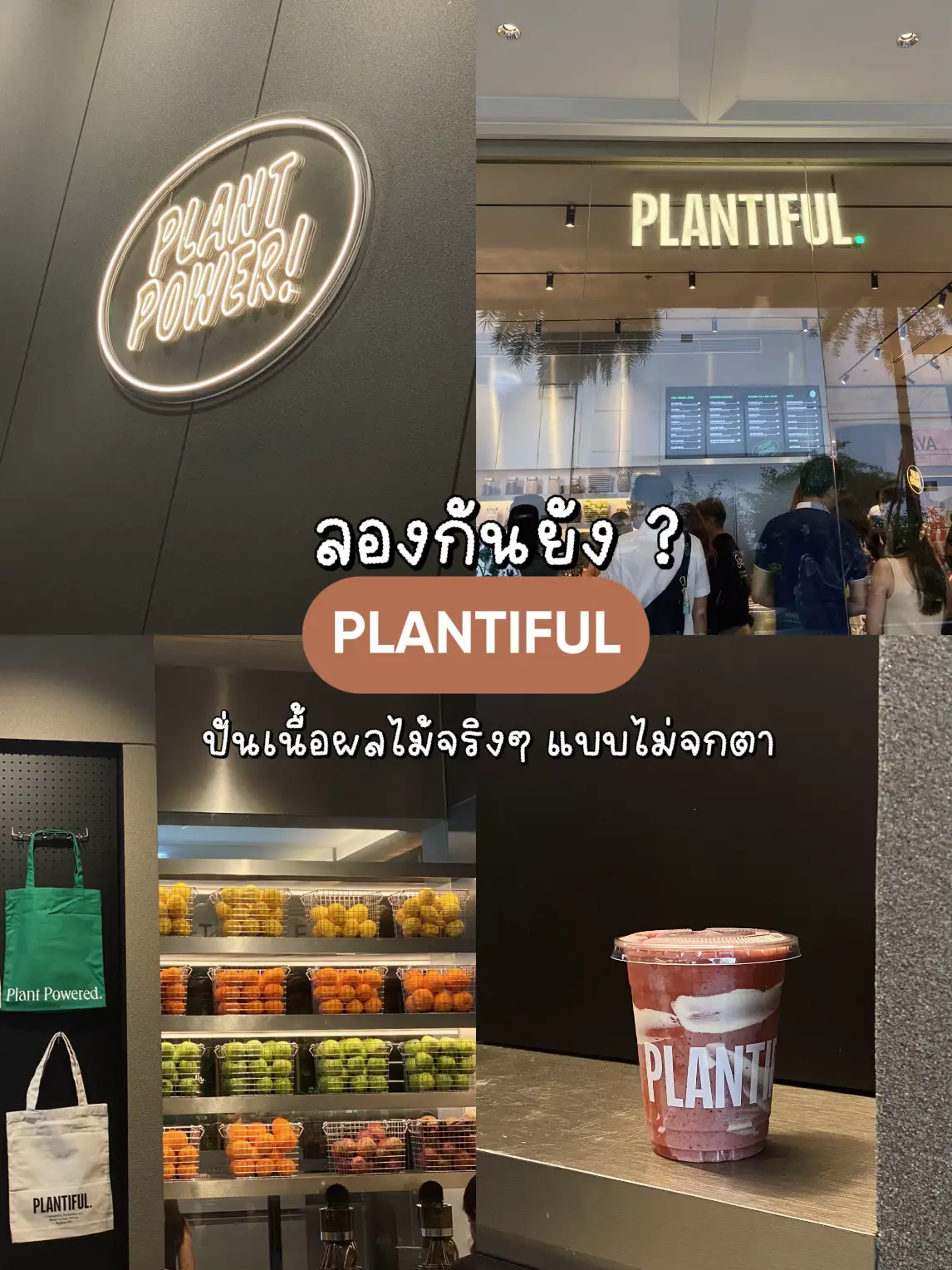 Plentiful 🥑🥭🍓🍒🍇🥤 | แกลเลอรีที่โพสต์โดย kkumpap | Lemon8