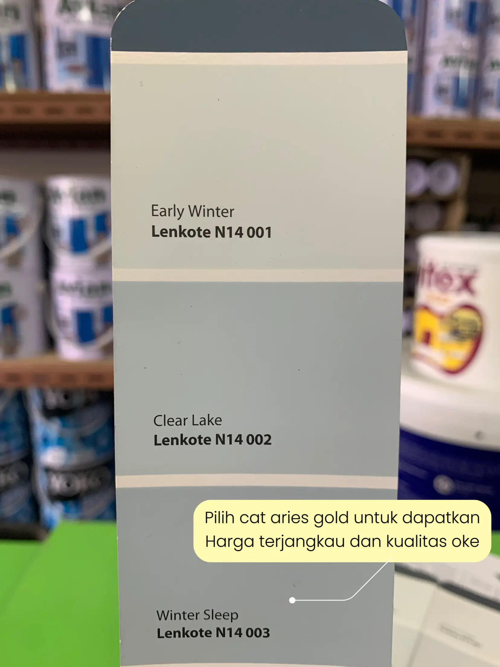 cat photos - Pencarian Lemon8