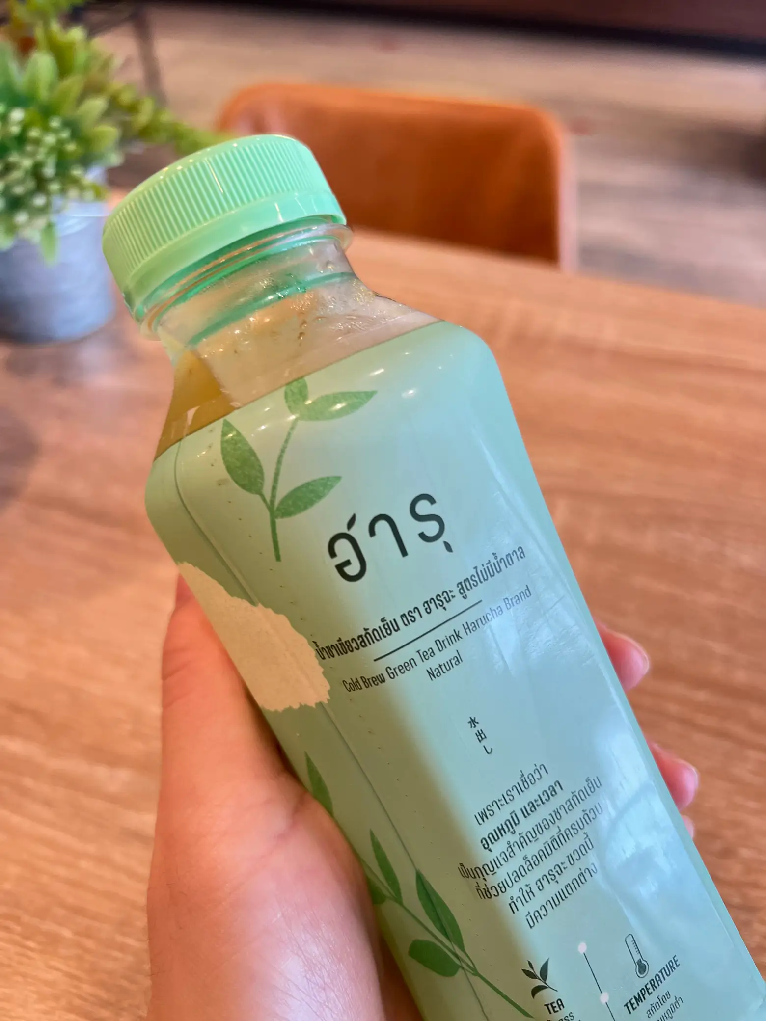ของใหม่ต้องลอง!!! HARU ชาเขียว | แกลเลอรีที่โพสต์โดย Jeejee…journey ...