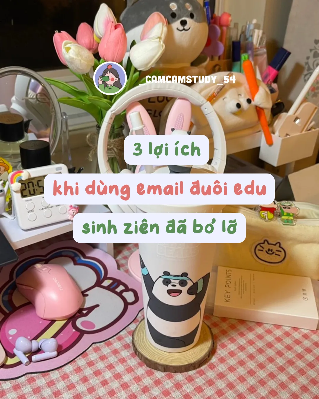 Lợi ích khi dùng email đuôi edu mà bạn đã bỏ qua | Bộ sưu tập do camcamstudy54 đăng | Lemon8