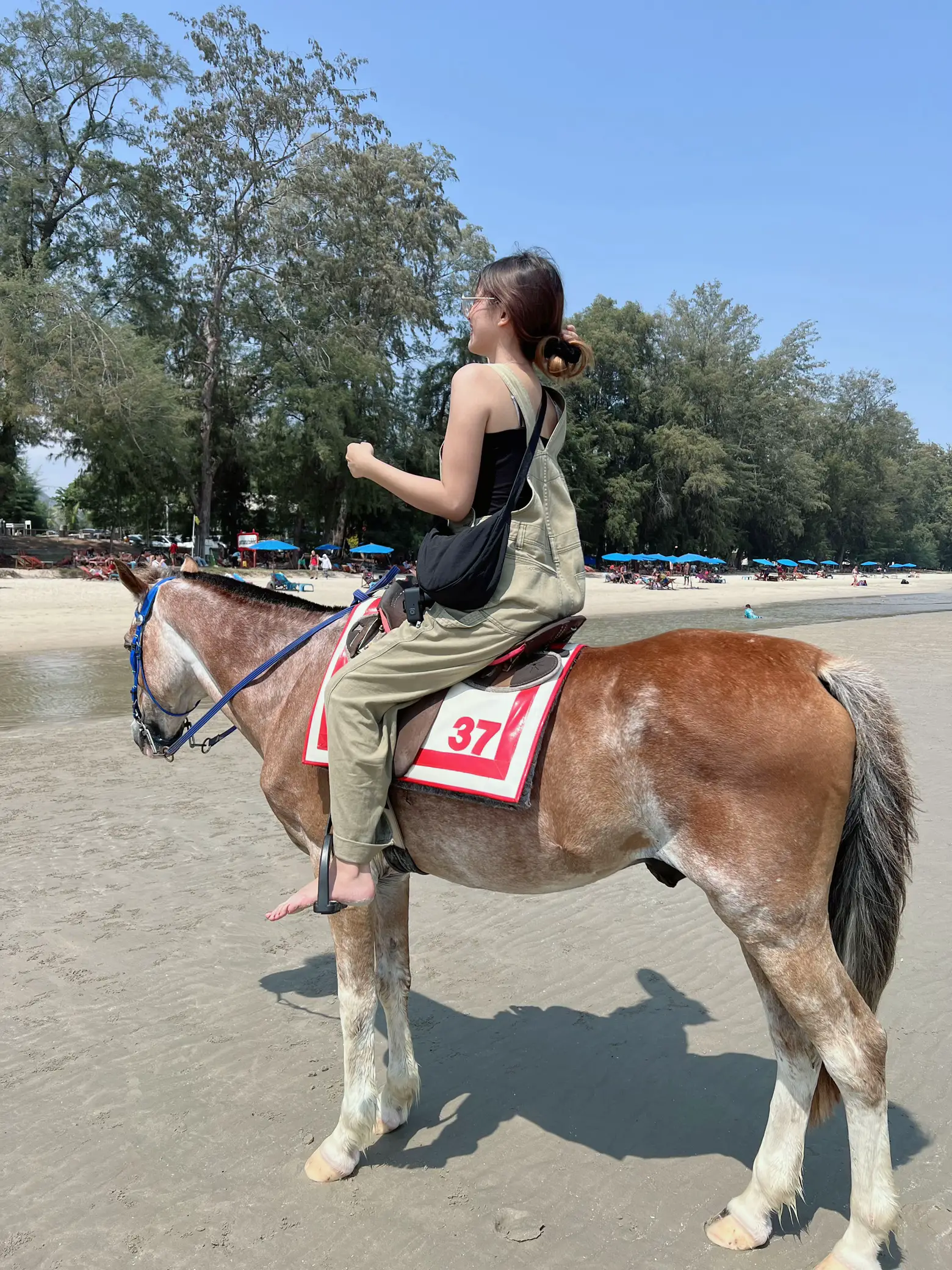 เที่ยวคนเดียว | รถไฟครั้งแรก | สวนสนประดิพัทธ์ | แกลเลอรีที่โพสต์โดย ...