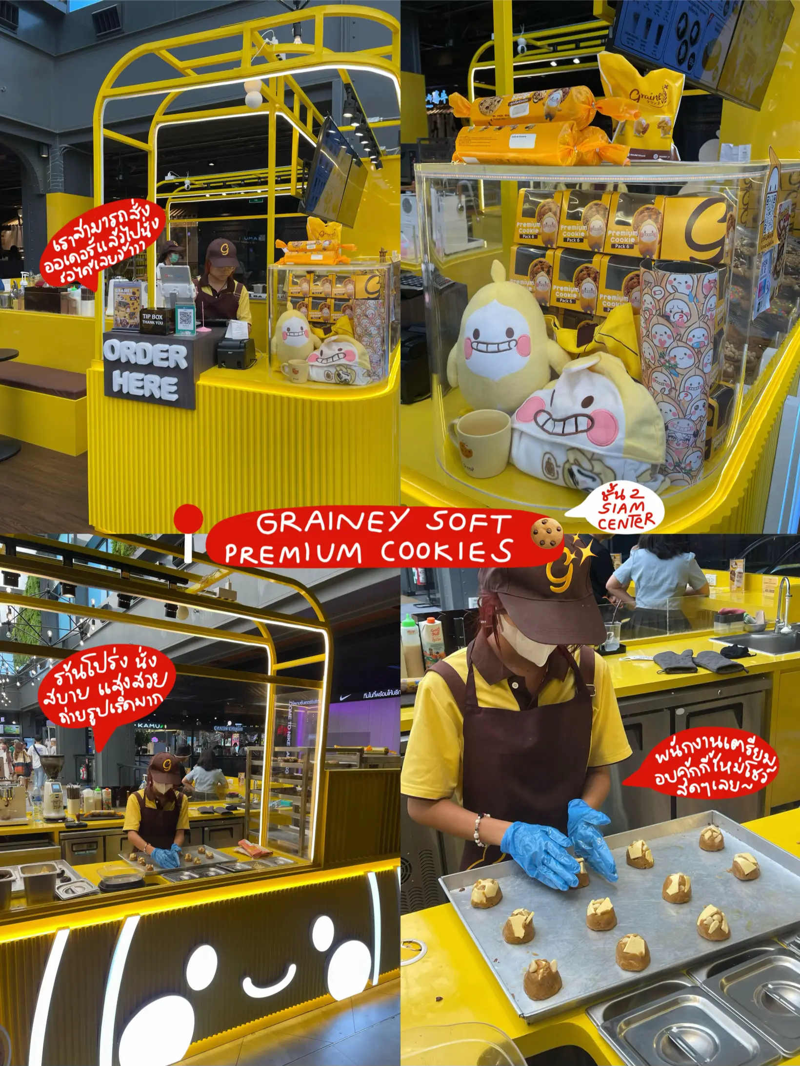 Grainey🍪 ซอฟต์คุกกี้ หน้าแน่น เจ้าดังบุกสยาม | แกลเลอรีที่โพสต์โดย np ...