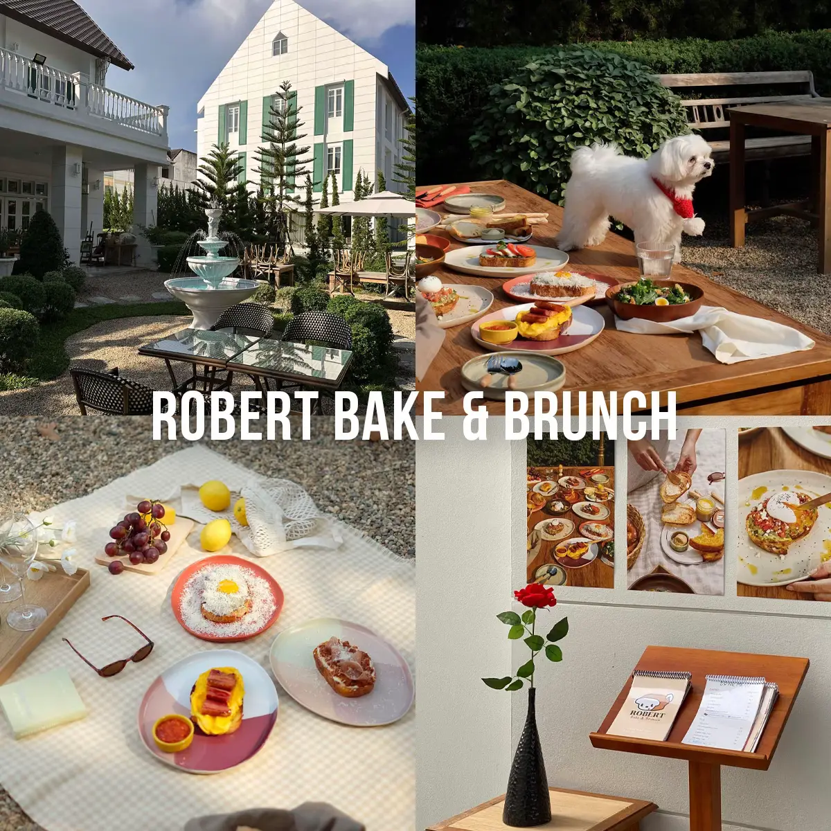 มื้อสายสไตล์คนเก๋! 20 ร้าน Brunch เชียงใหม่ 🍳🥓🌤️ | แกลเลอรีที่โพสต์โดย ...