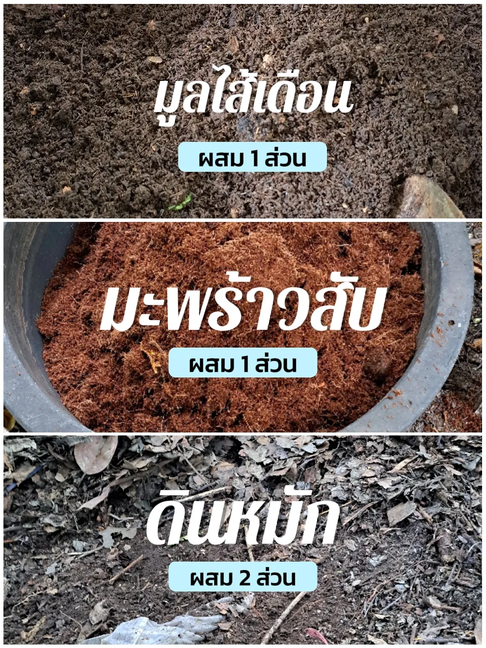 Ez-style earthworm manure mixing technique 🪱 is simple but good.🥰 ...