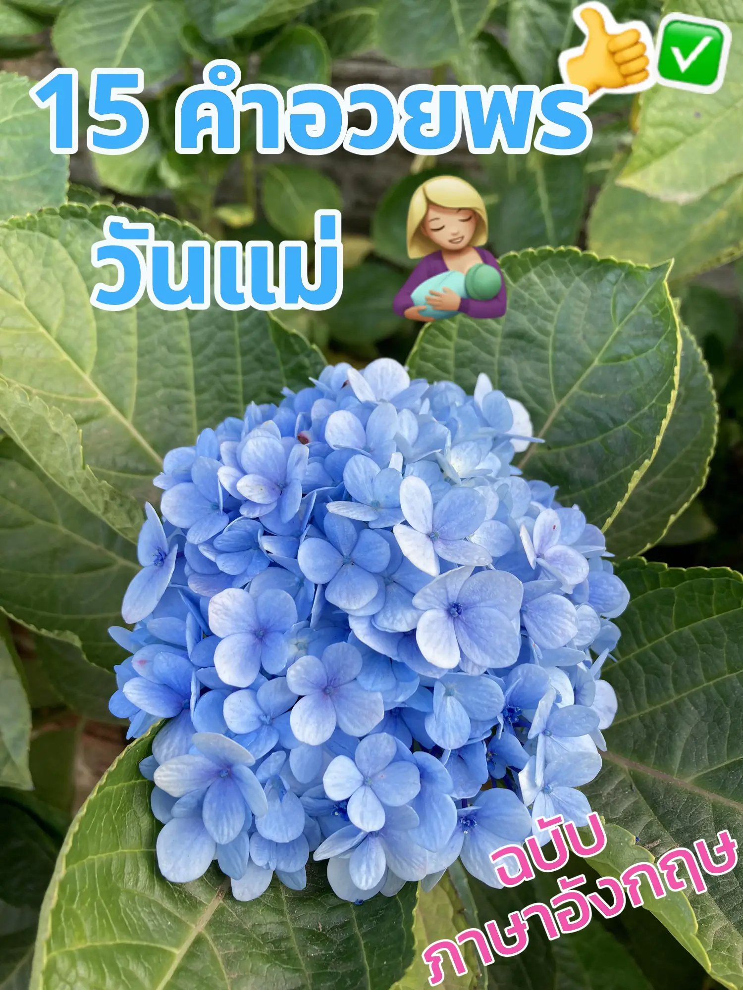 15 คำอวยพรวันแม่ 🤱🏼ฉบับ ภาษาอังกฤษ | แกลเลอรีที่โพสต์โดย A_learning | Lemon8