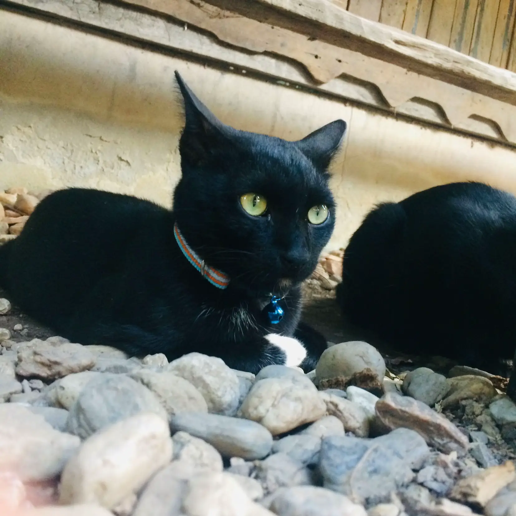 ร้านสุขใจ Sookjai 🍔 Hamburger | แกลเลอรีที่โพสต์โดย SILK’s GIRL | Lemon8