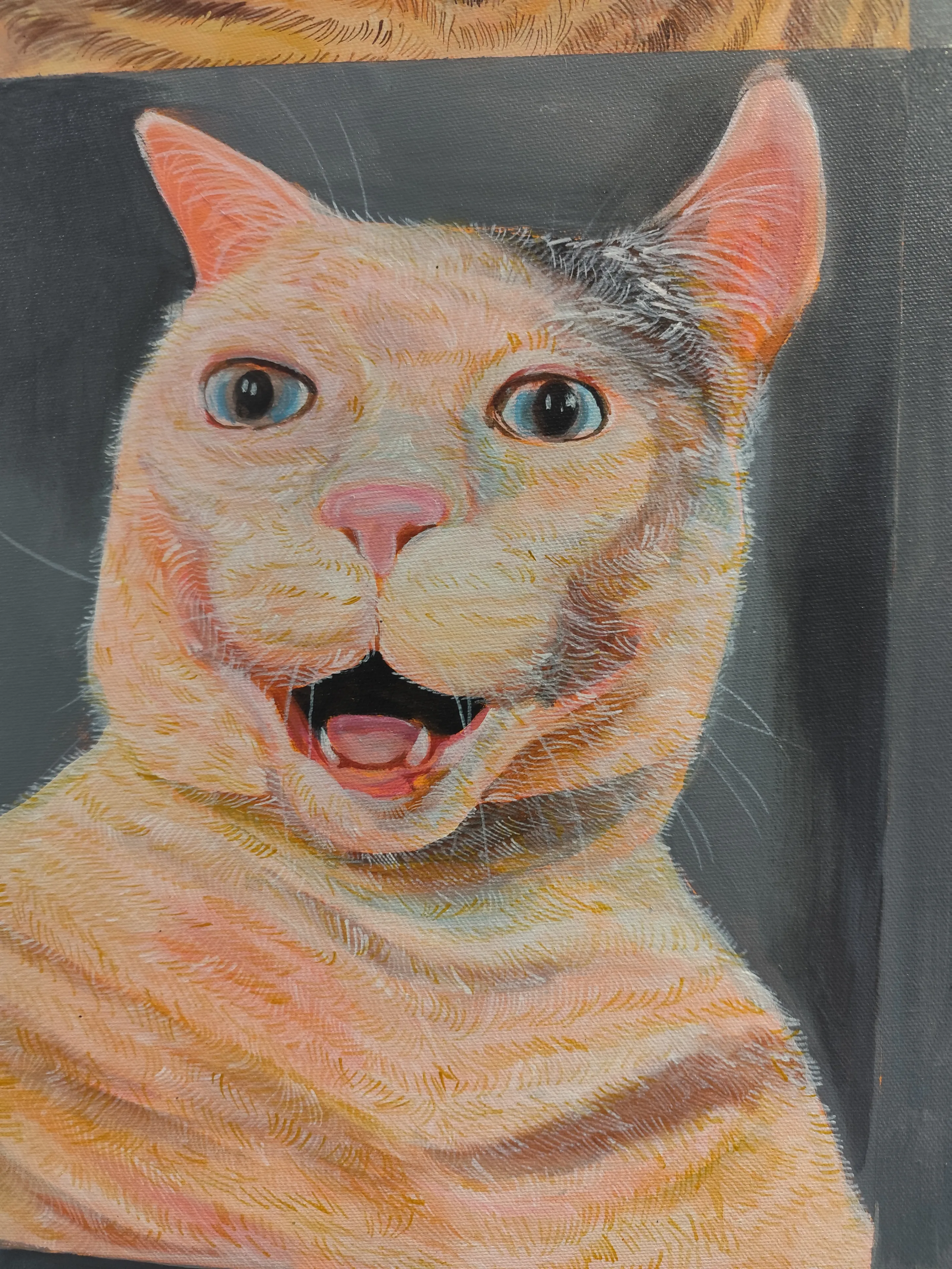 Funny Cat แมวมันส์ "ภาพในใจ" | แกลเลอรีที่โพสต์โดย tu bgood | Lemon8