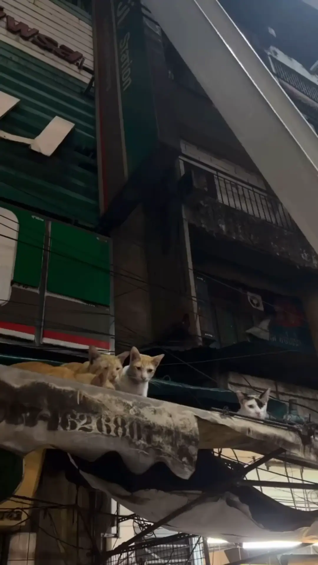 ผู้หญิงเที่ยวบาร์คนเดียว ฉบับมือใหม่ | วิดีโอที่เผยแพร่โดย _F•A•H.246 | Lemon8