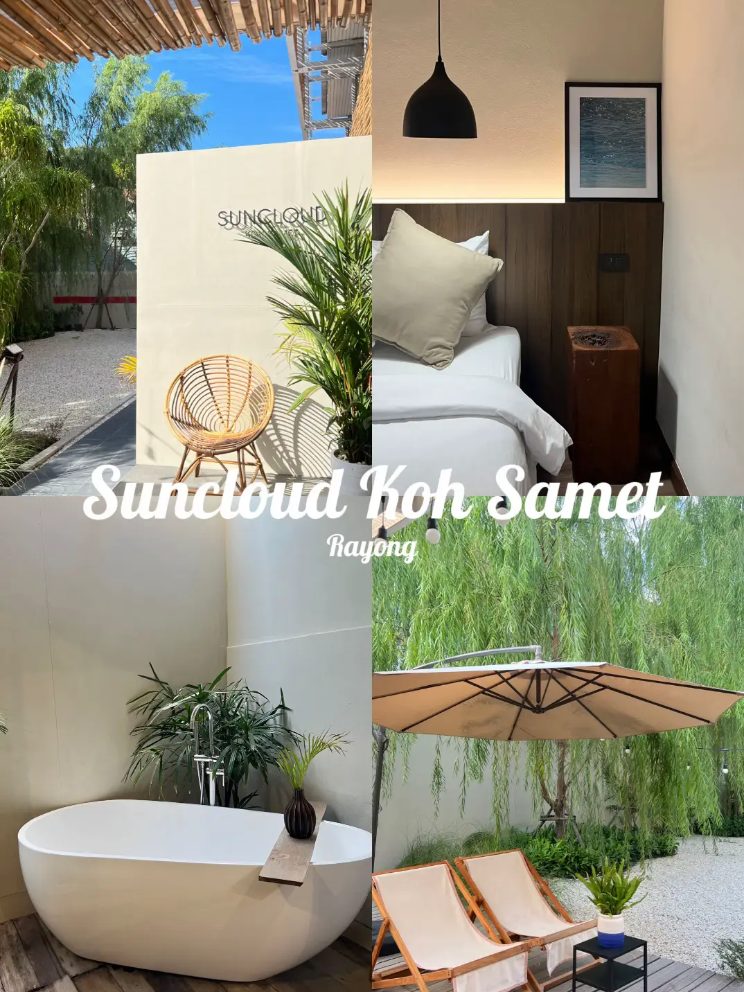 Suncloud Koh Samet ราคาดีเริ่มต้น 1,xxx ฿ | แกลเลอรีที่โพสต์โดย ; pakk ...