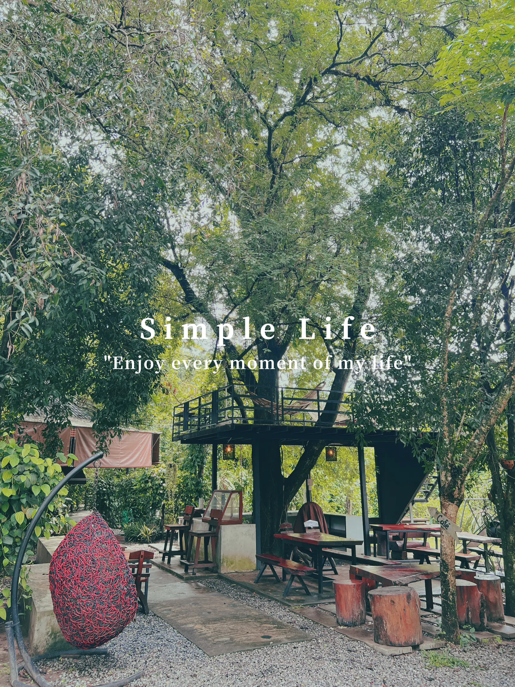 2nd November Cafe&O’ganic farm | แกลเลอรีที่โพสต์โดย แชร์เรื่องดีๆ | Lemon8