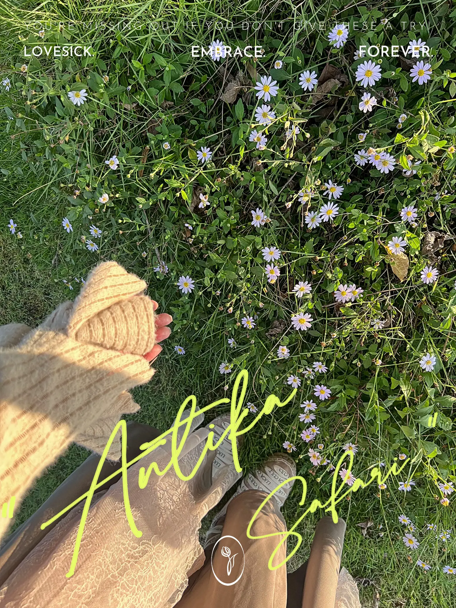 “Antika Safari” ฟิวเขาใหญ่ที่กรุงเทพก็มี | แกลเลอรีที่โพสต์โดย Jenryx➿ ...