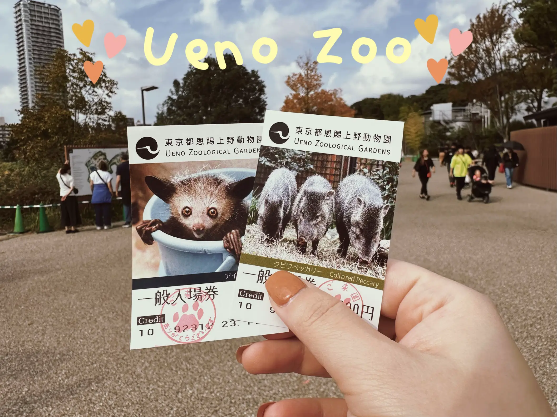Ueno Zoo 🦁🐭🐰🐵 | แกลเลอรีที่โพสต์โดย แอลลี่ 🤓 | Lemon8